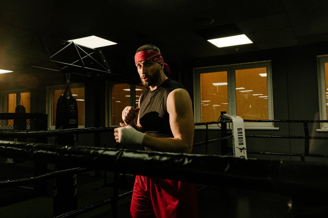 Are Boxer Dogs Dangerous and Why You Should Know the Risks