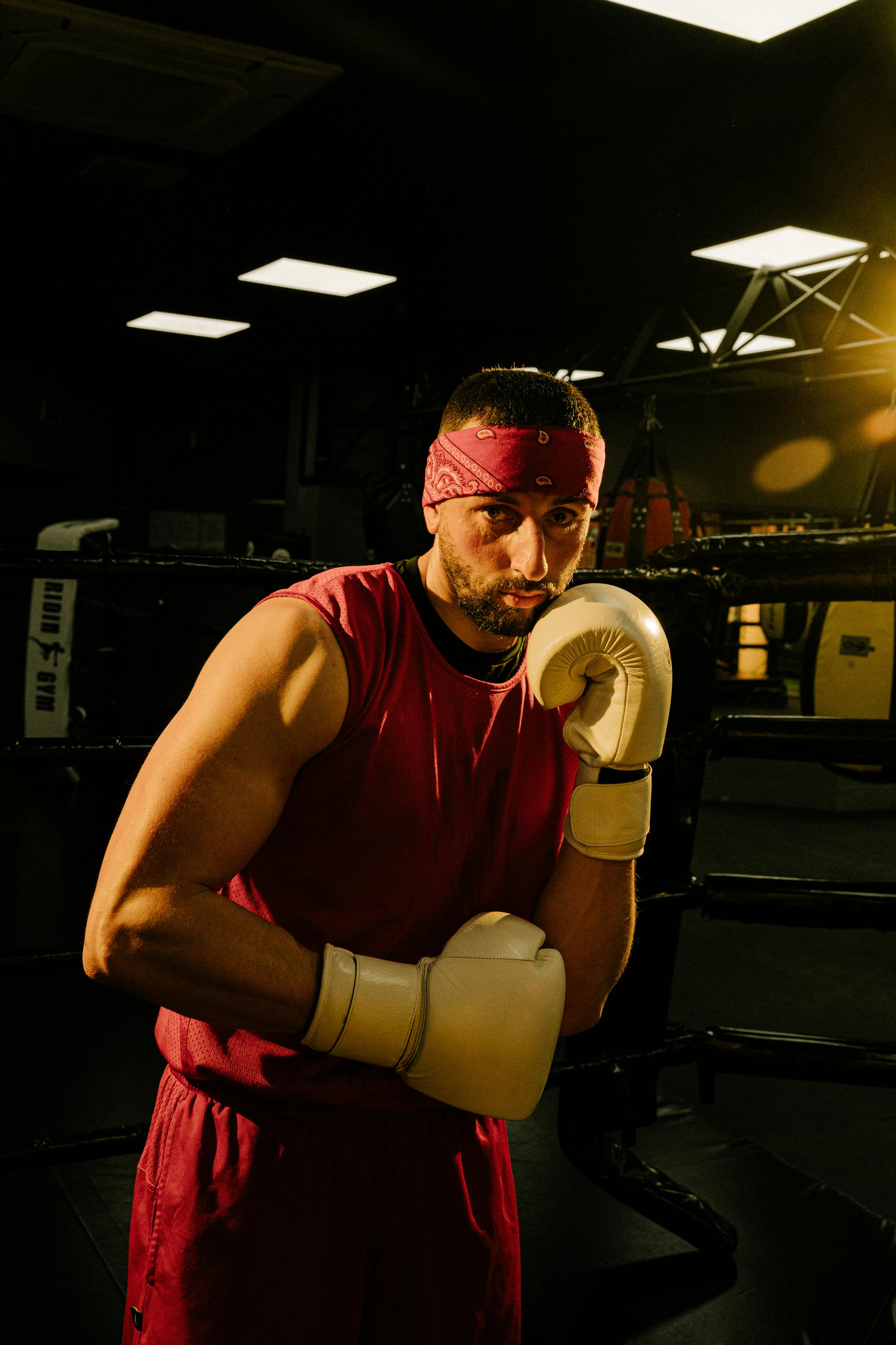 Boxing Pose Photos, Download The BEST Free Boxing Pose Stock Photos ...