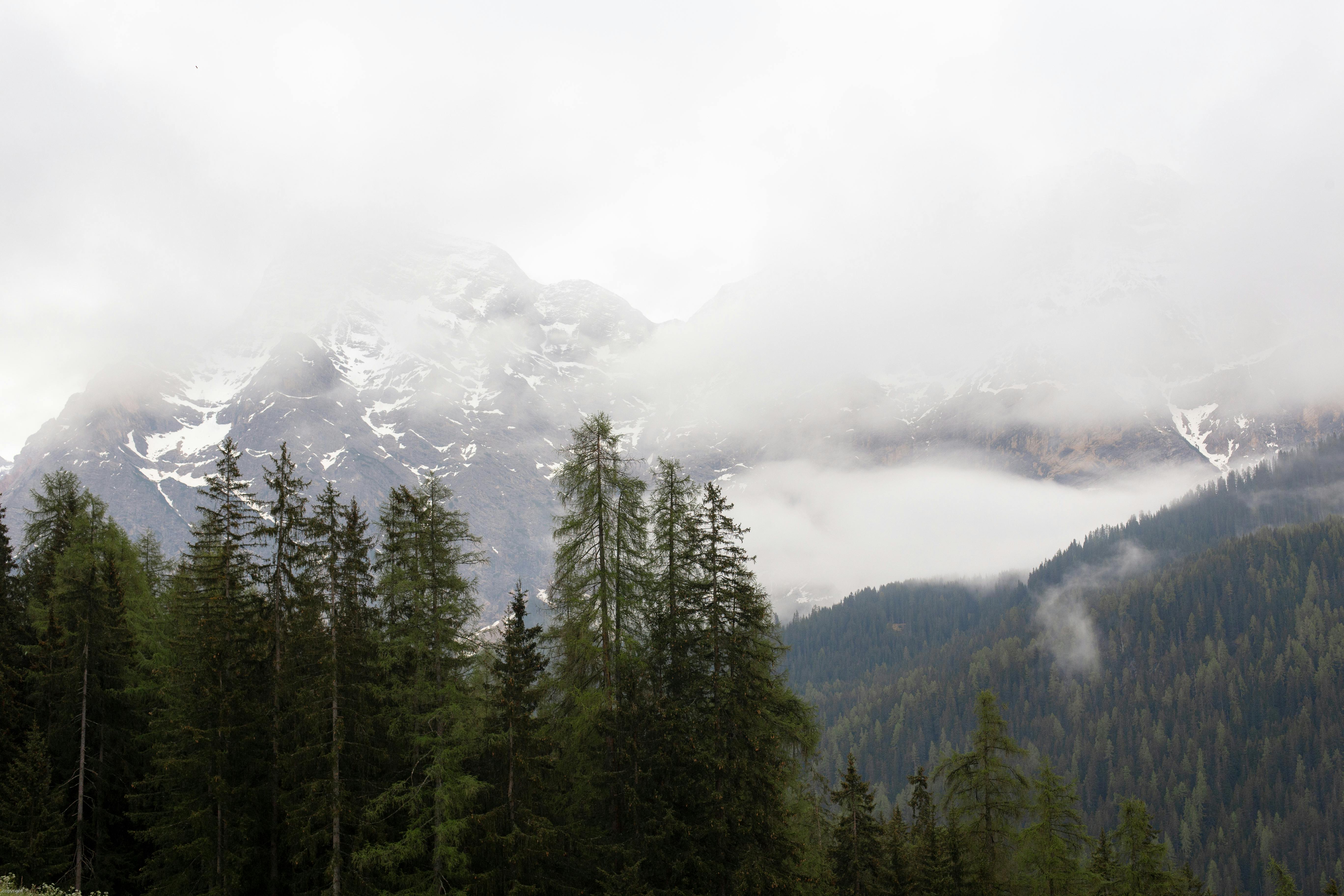 Rough green terrain near rocky mountain · Free Stock Photo