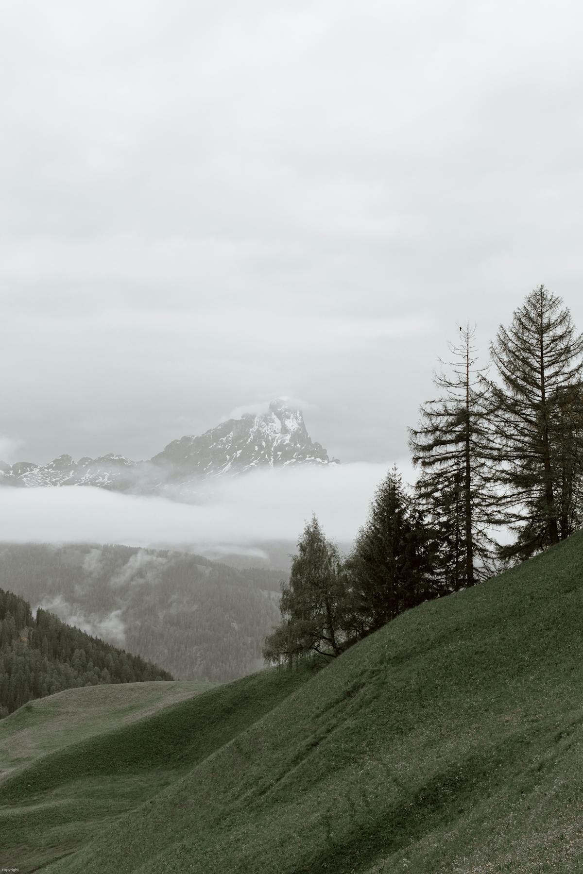 4,000+张最精彩的“Mammary+ridge”图片 · 100%免费下载 · Pexels素材图片