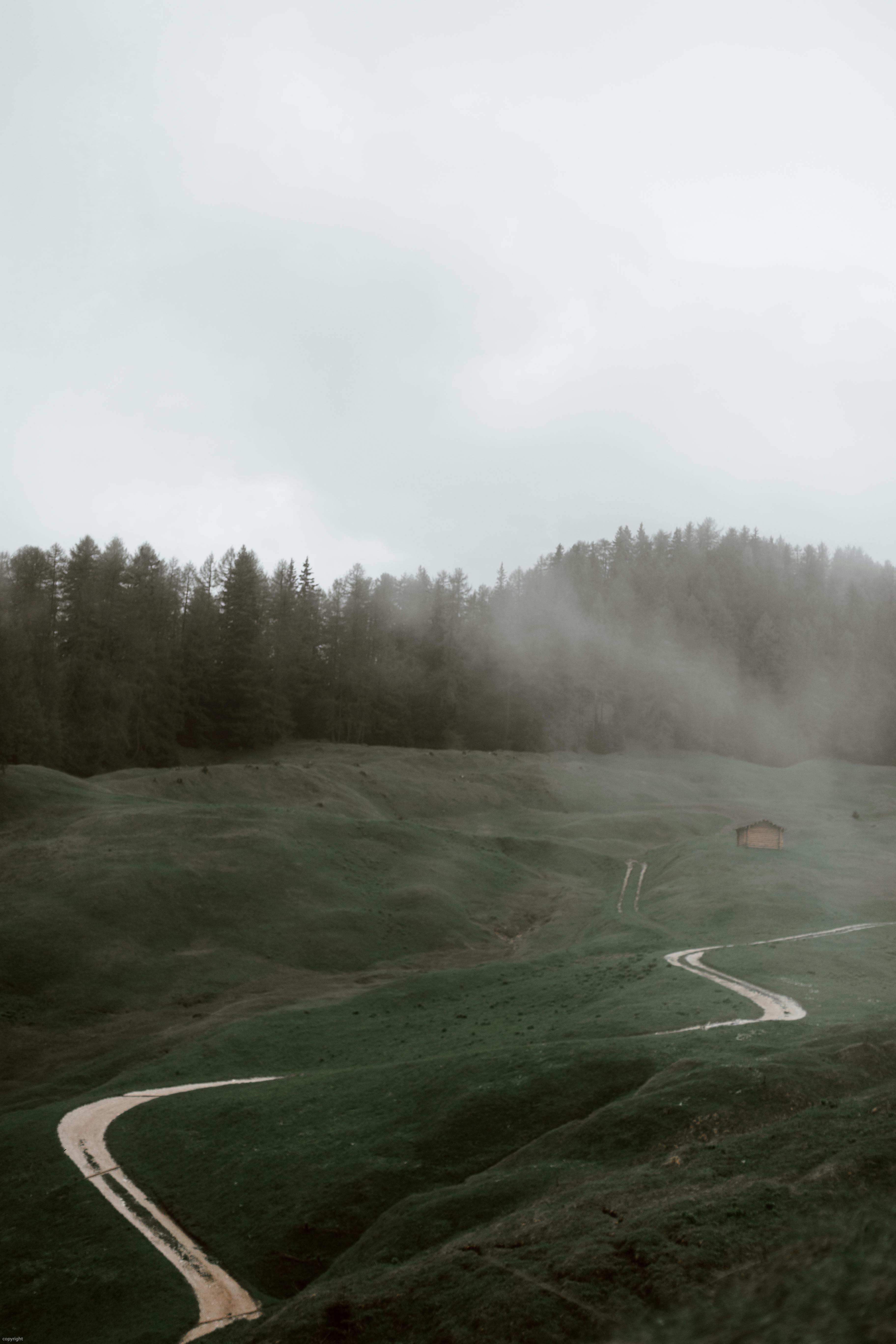 Path Choice Route Track Direction Photos, Download The BEST Free Path ...