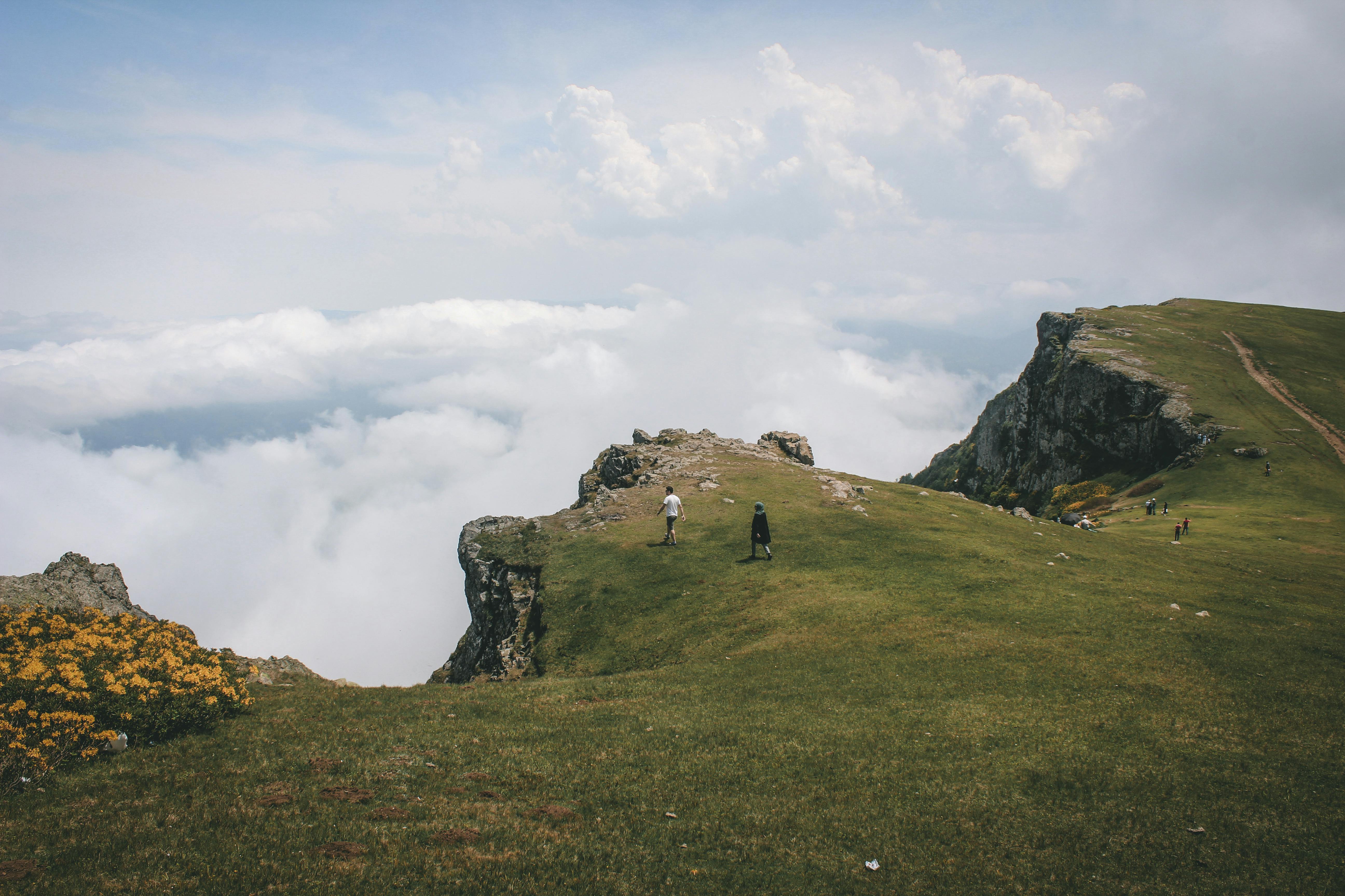 Dag Photos, Download The BEST Free Dag Stock Photos & HD Images