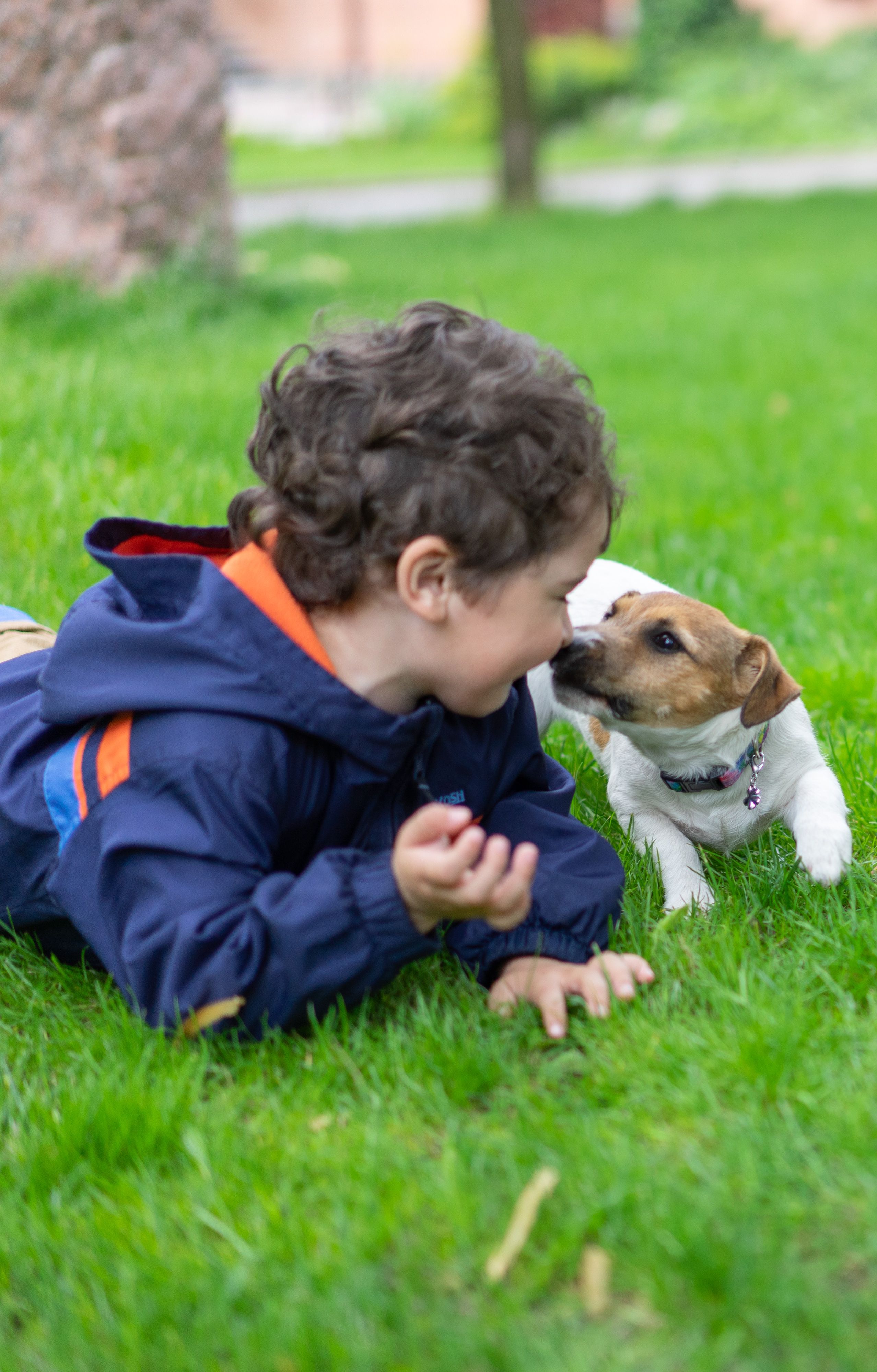 Kid Playing with a Dog · Free Stock Photo