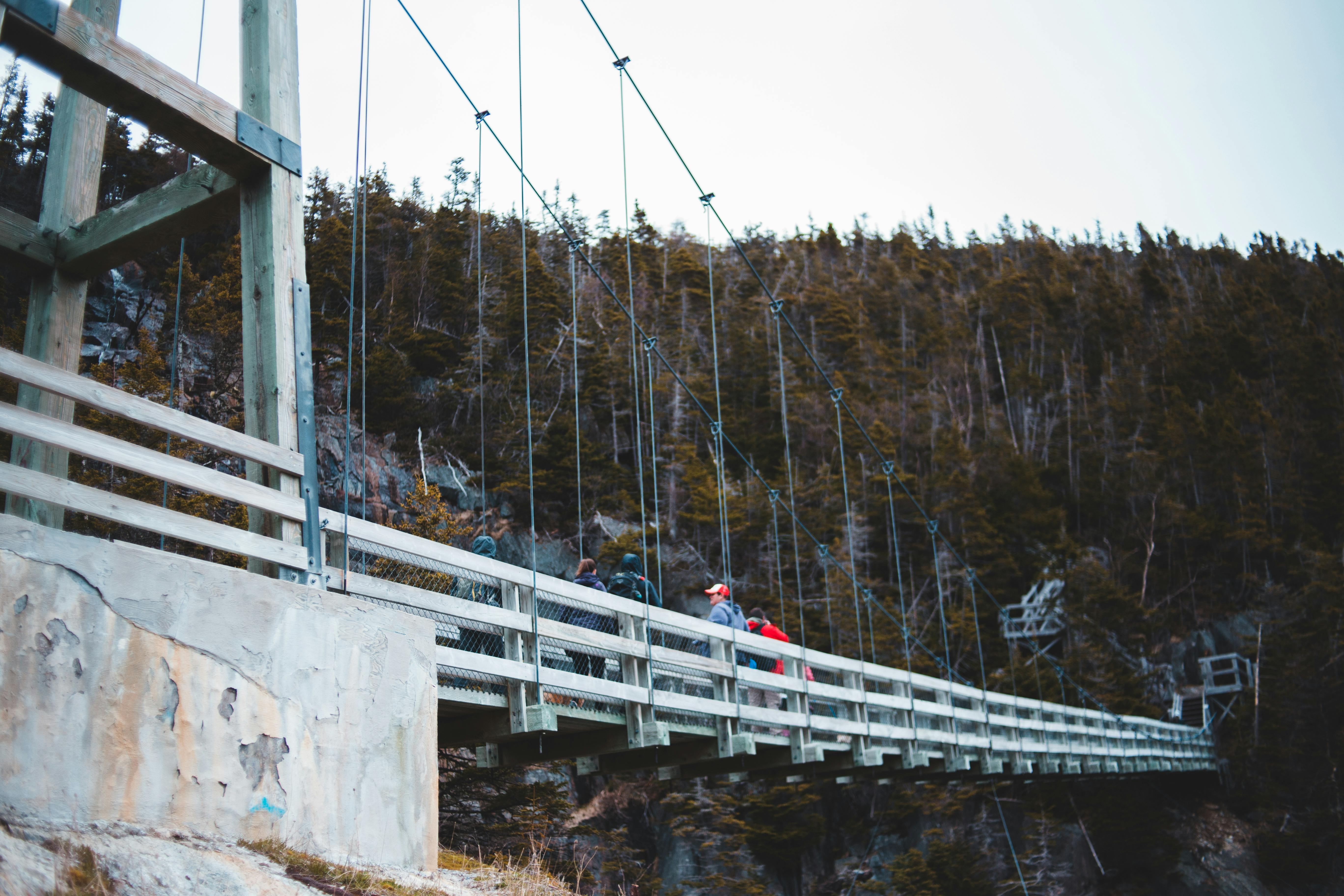 Bridge with people located near forest · Free Stock Photo