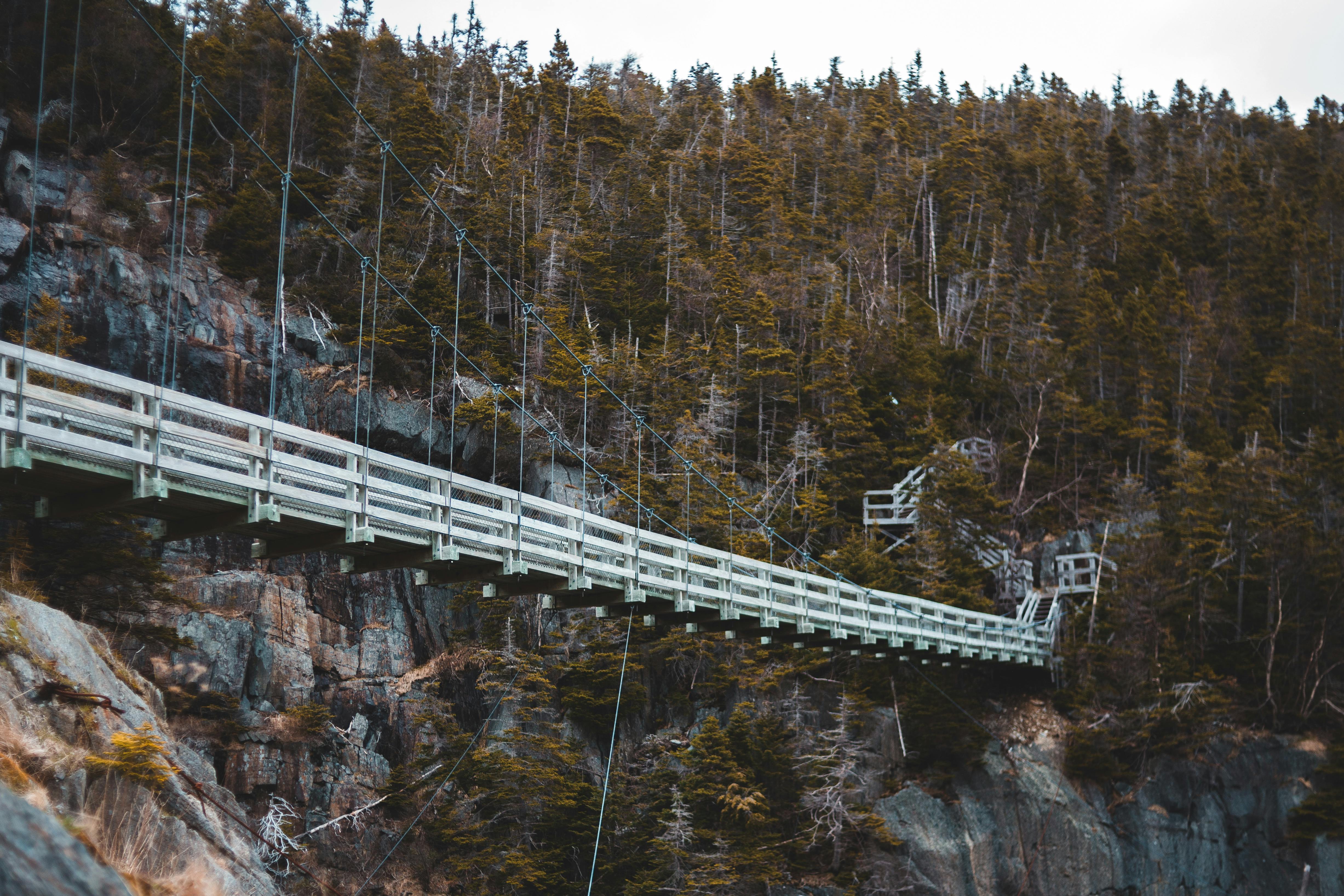 Bridge located near rocky terrain with forest · Free Stock Photo