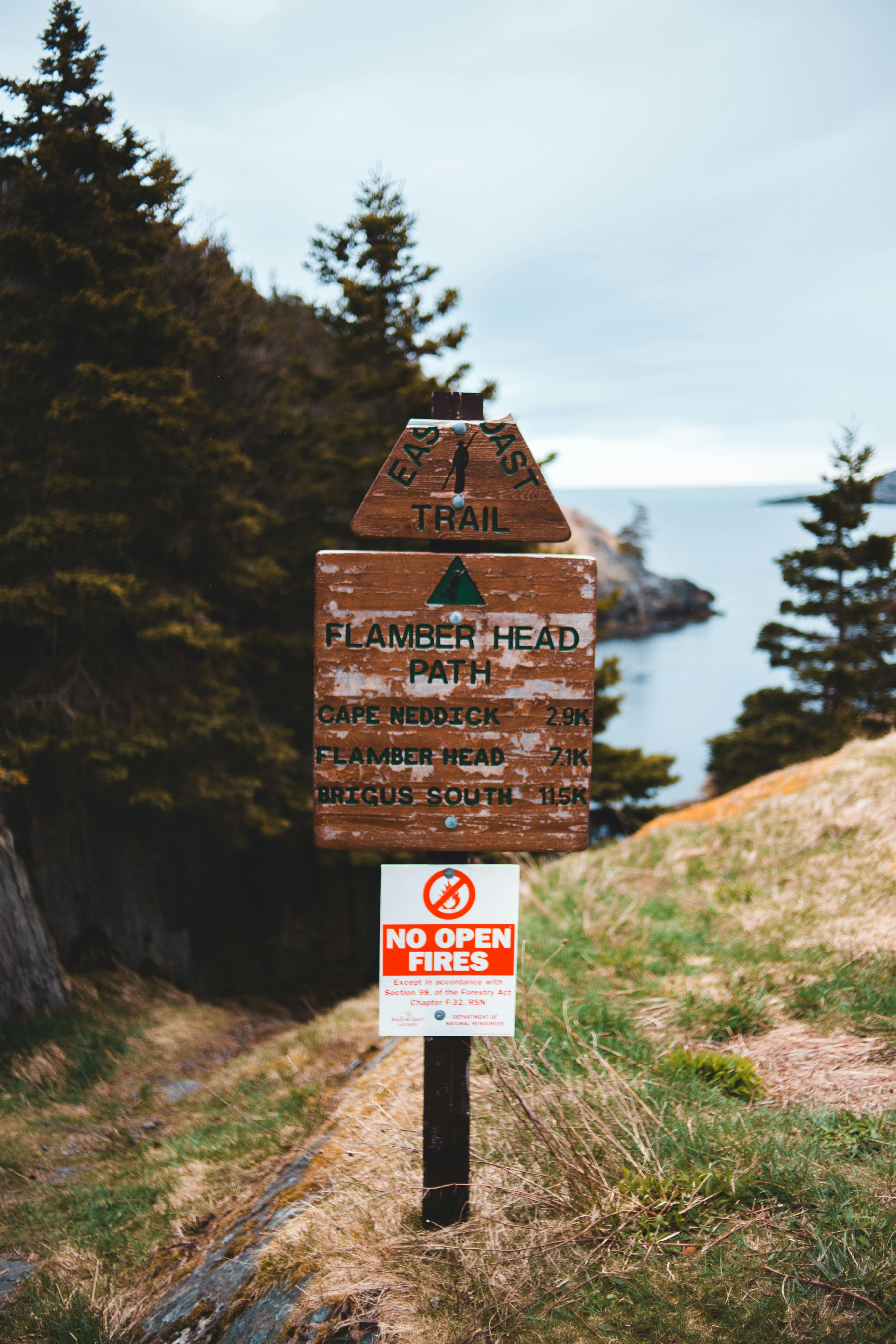 Sign on hilly terrain near peaceful sea · Free Stock Photo