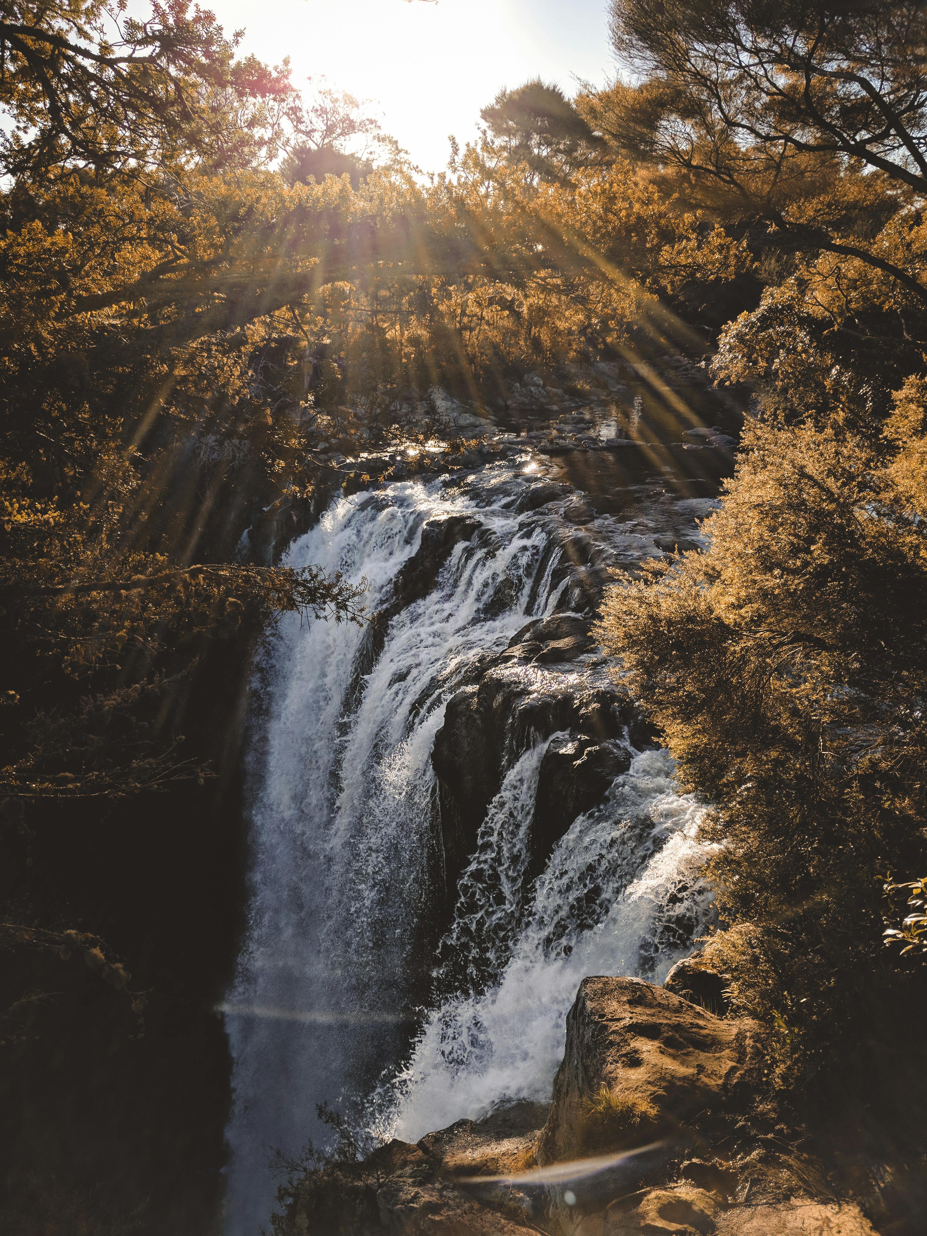 Green Trees Near the Waterfall · Free Stock Photo
