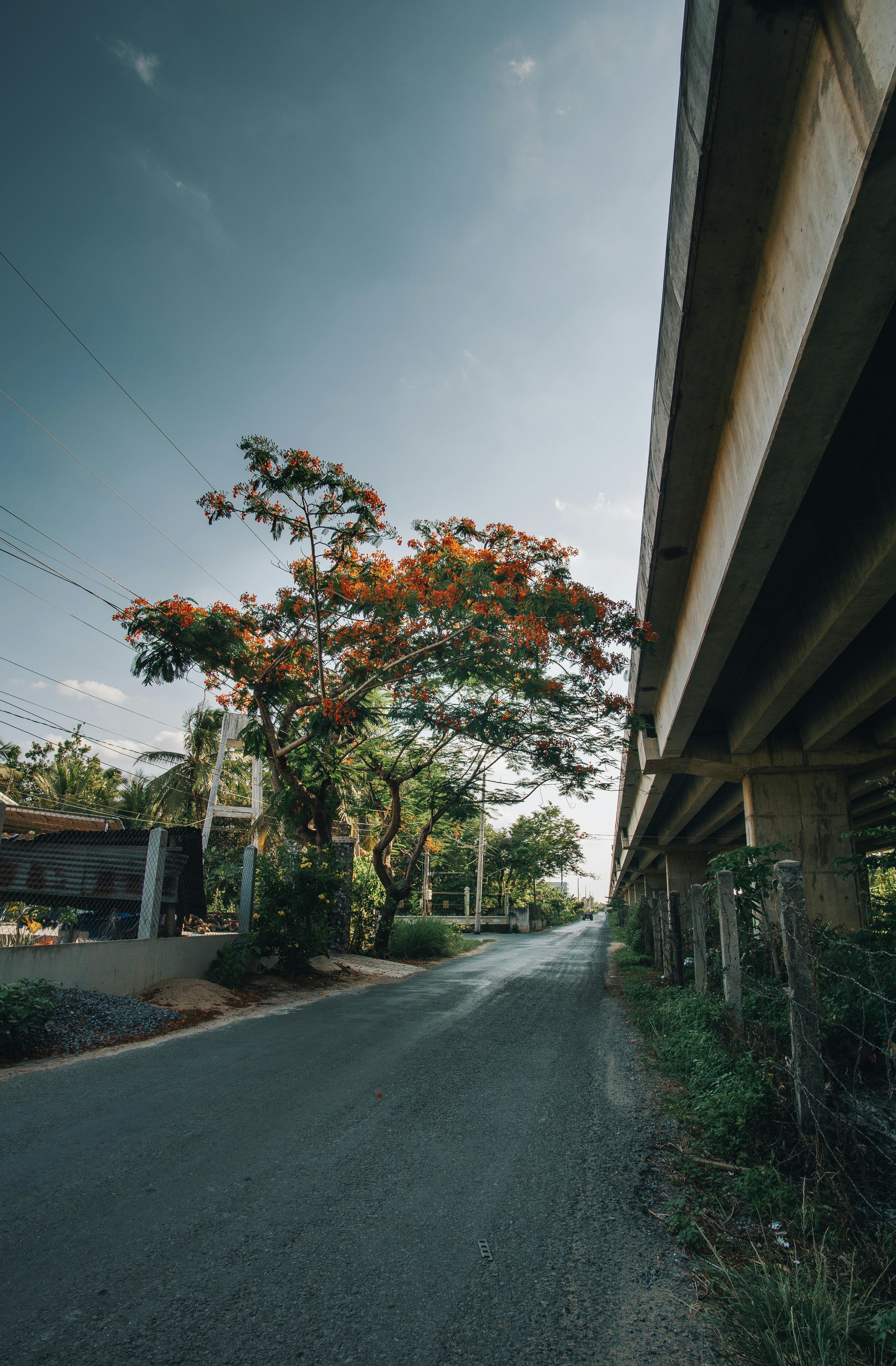 Empty road between bridge and residential houses · Free Stock Photo