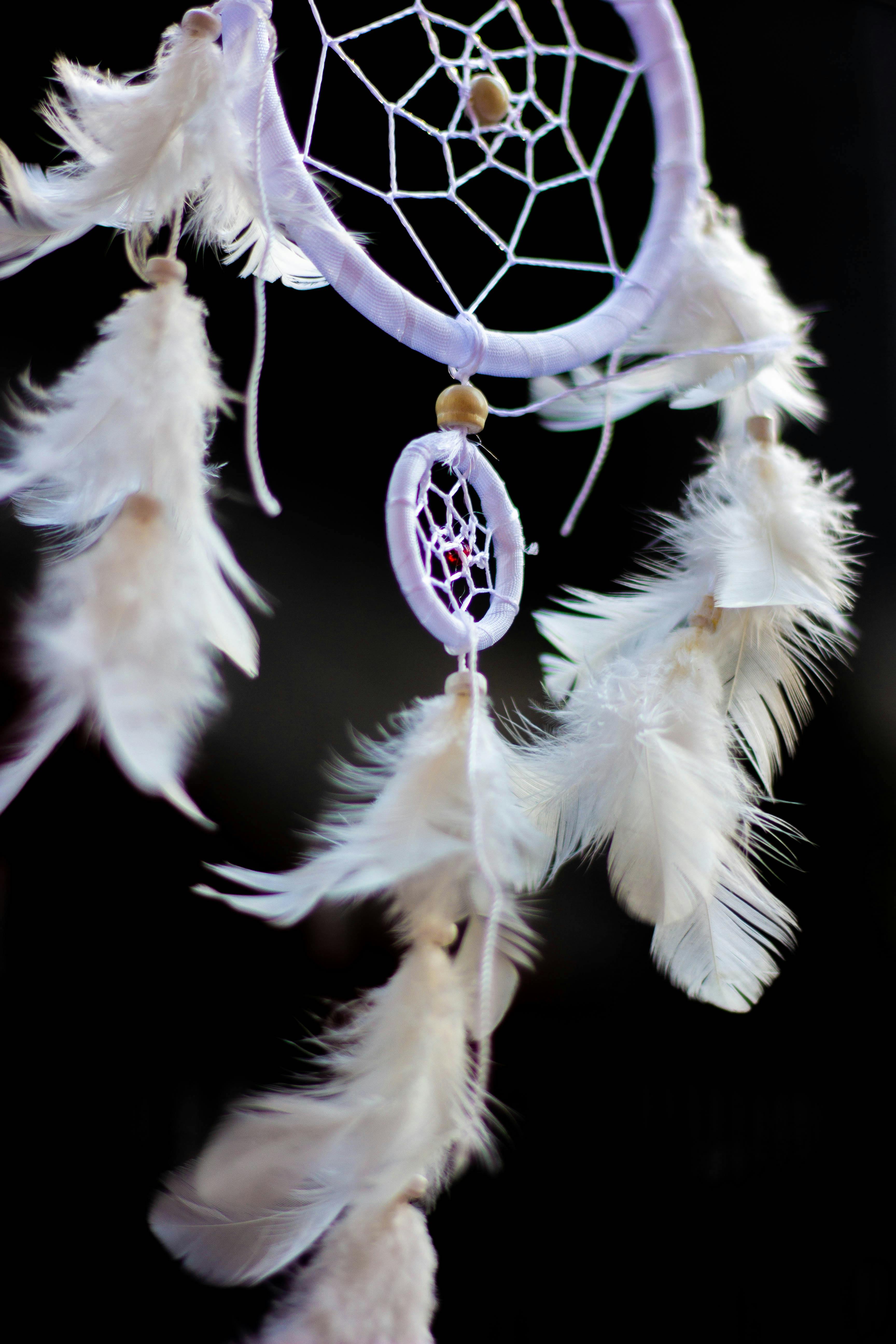 Custom Web Design Photos, Download The BEST Free Custom Web Design ...