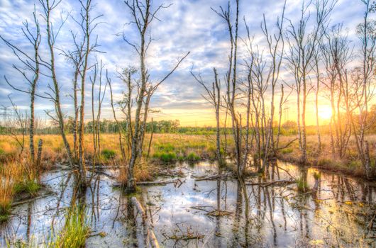 Free stock photo of clouds, hdr, nature