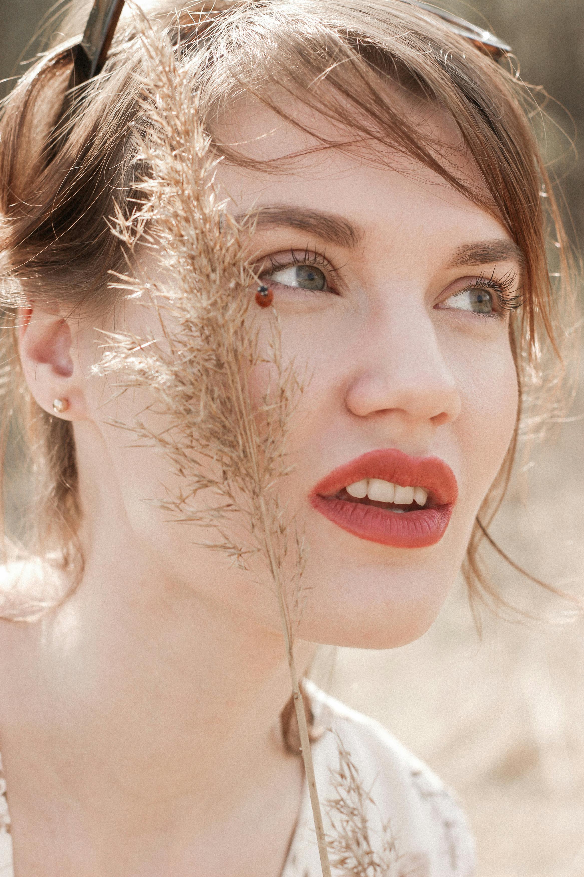 Lady Bug Photos, Download The BEST Free Lady Bug Stock Photos & HD Images