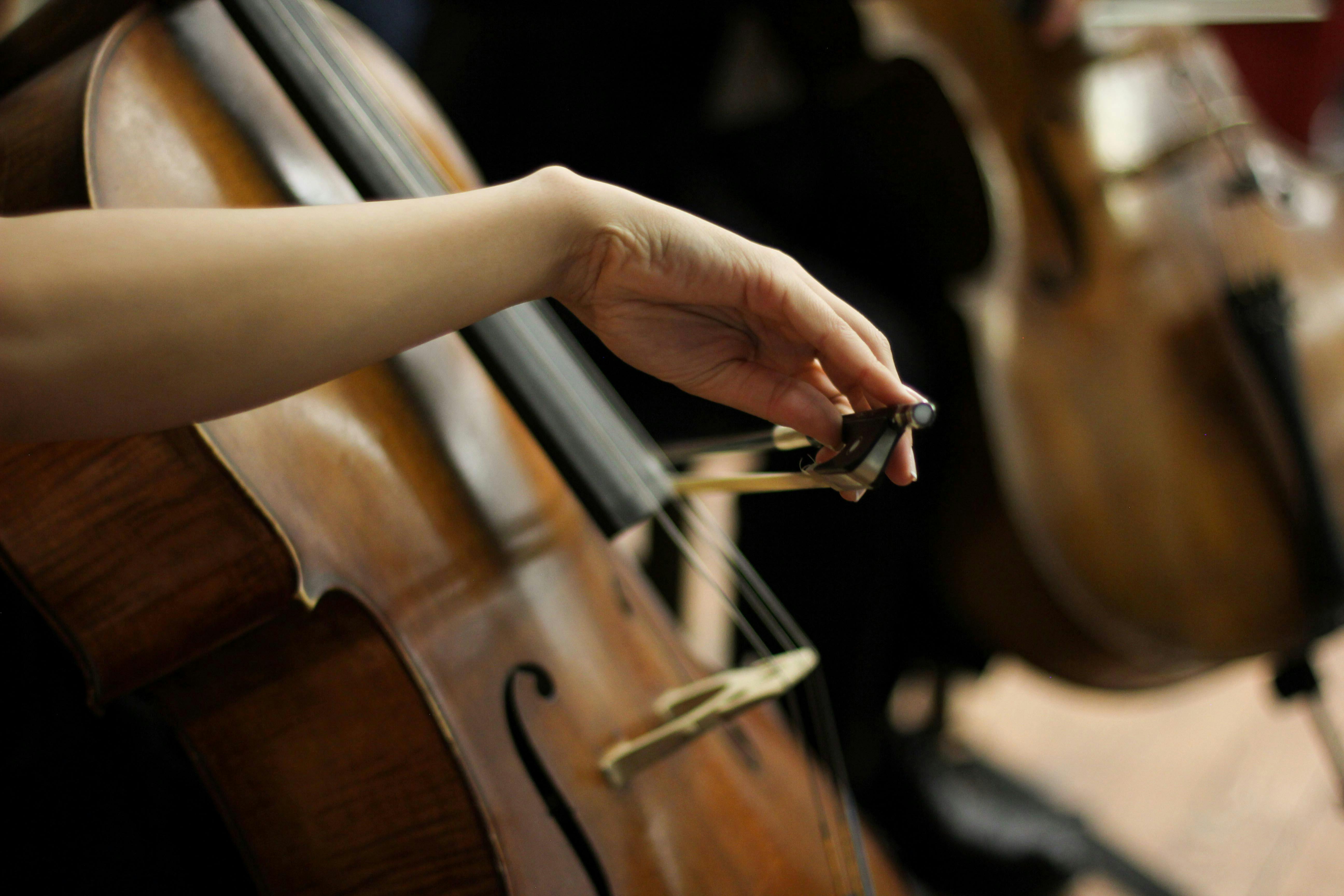 Person Playing a Cello · Free Stock Photo
