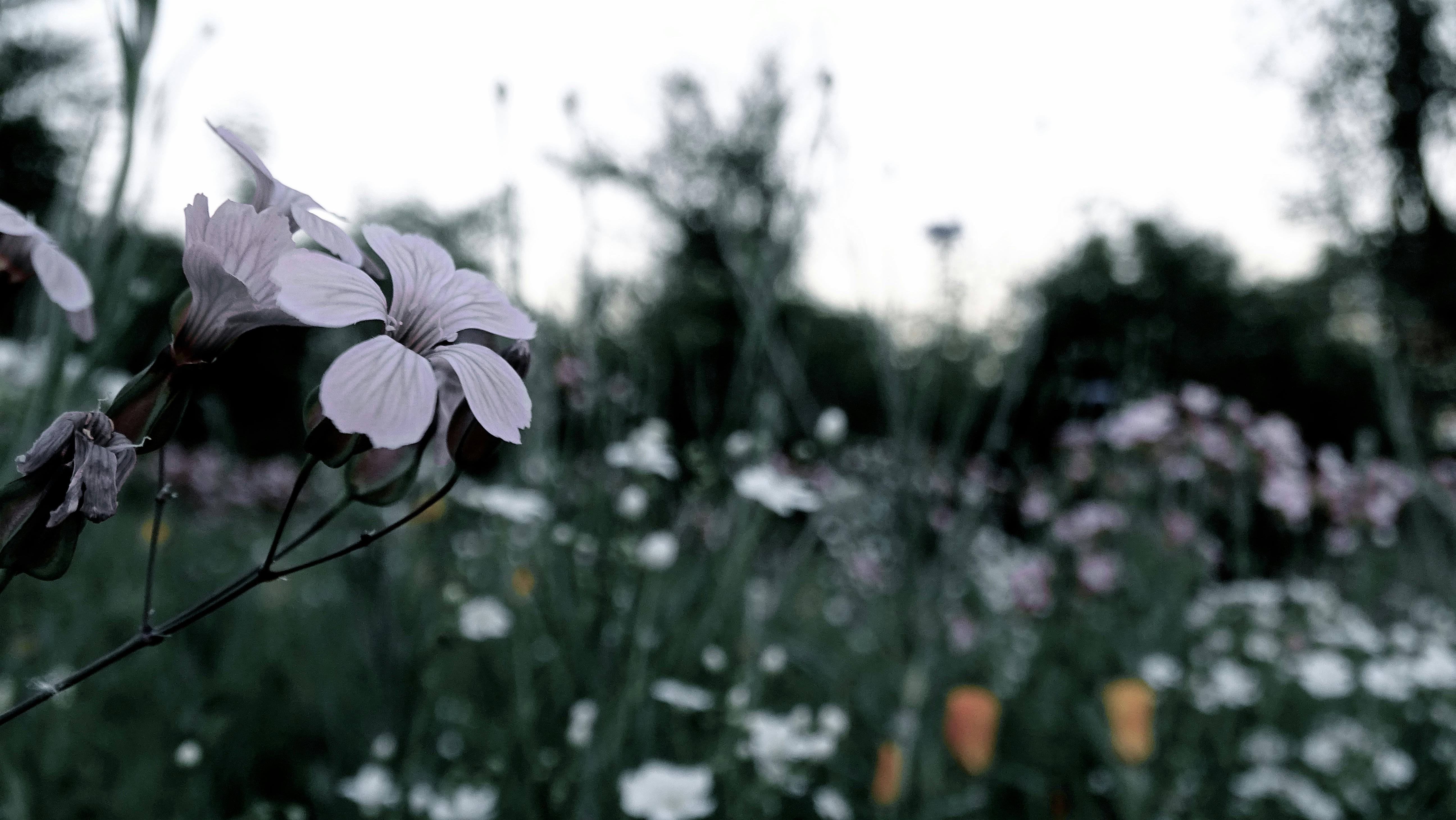 miami 1688 ทางเข้า