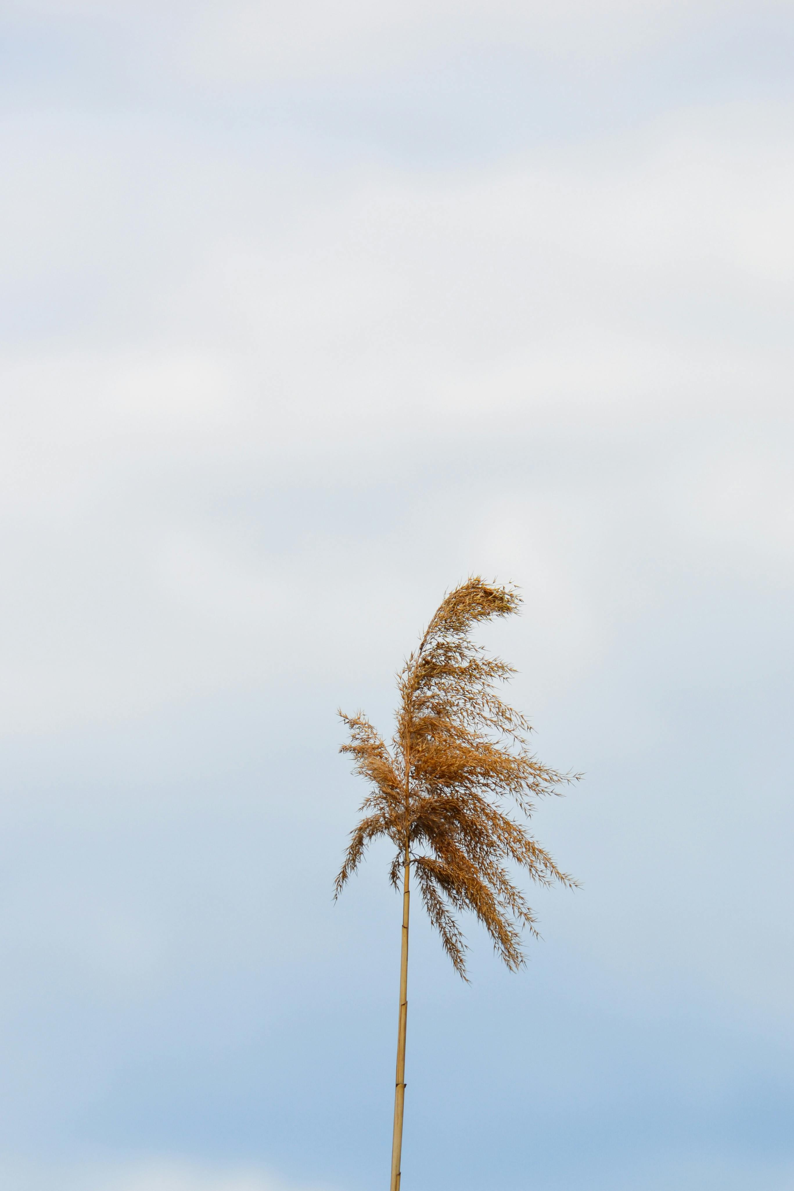 Windy Scenes Photos, Download The BEST Free Windy Scenes Stock Photos ...
