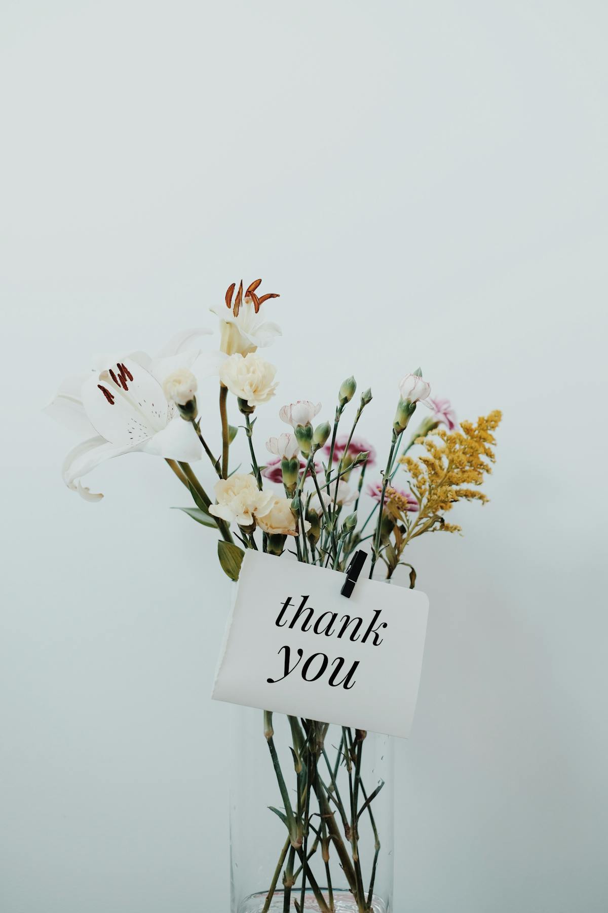 1,000+ Best Thank You Images · 100% Free Download · Pexels Stock Photos