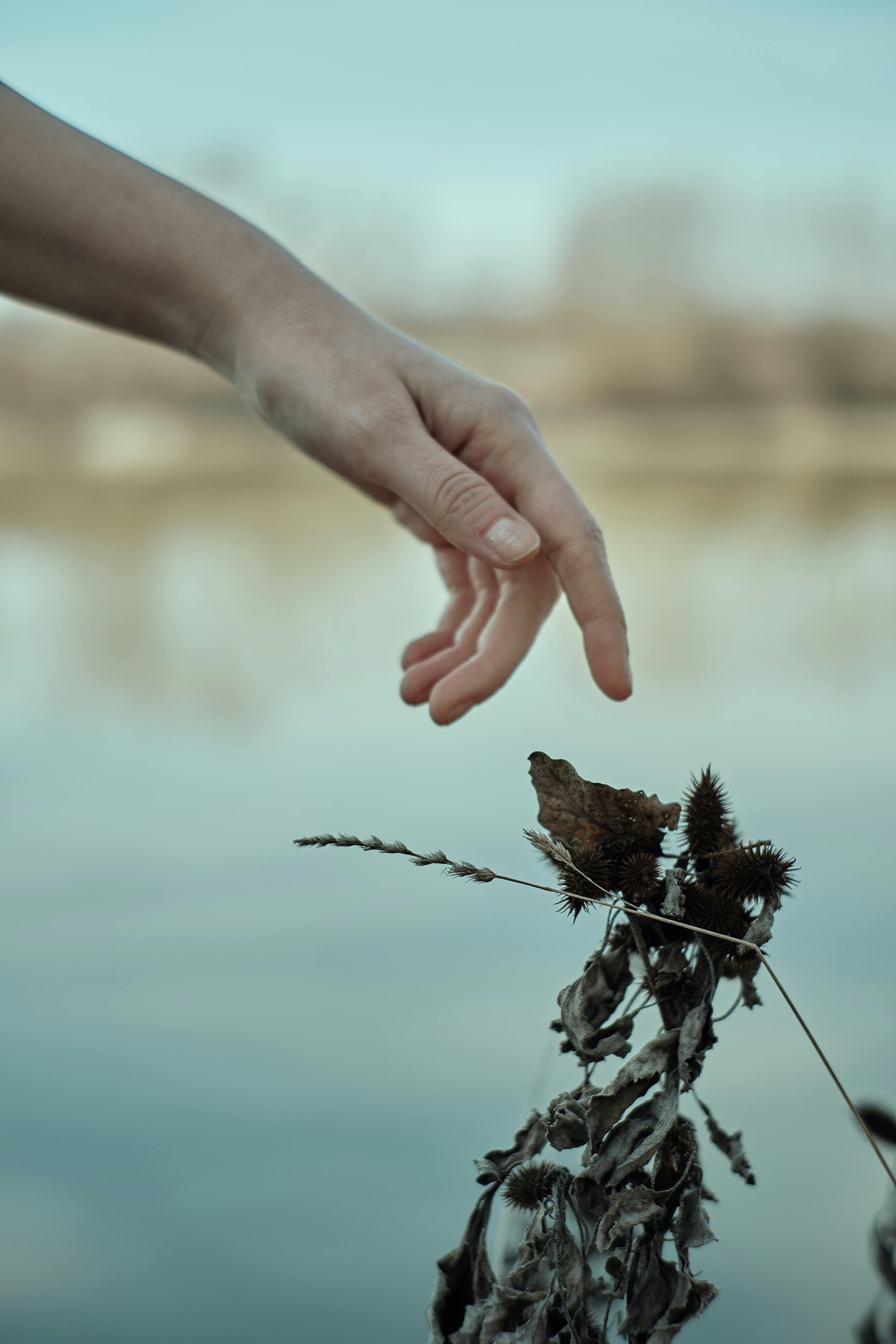 Hand with a Lake in the Background · Free Stock Photo