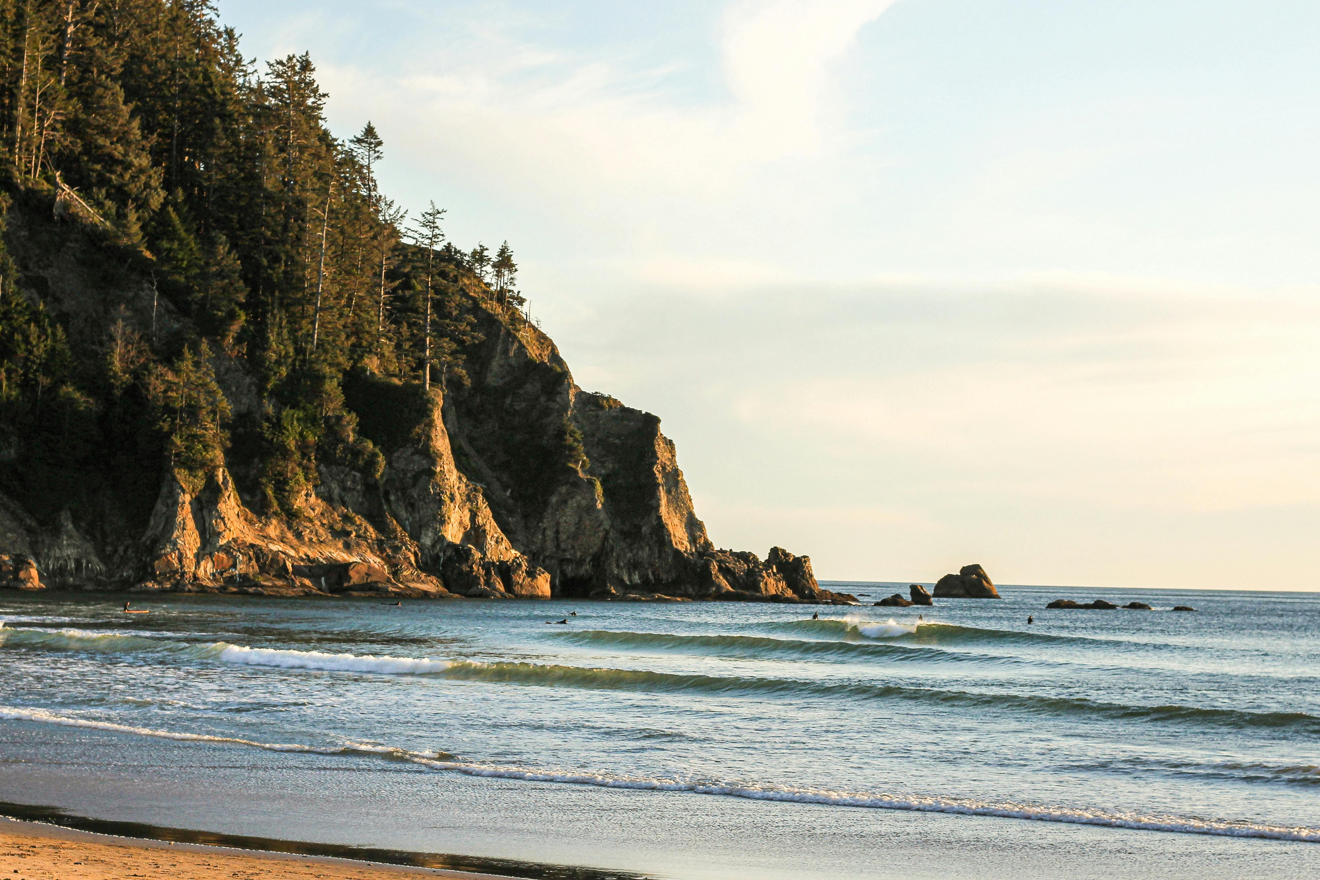 Rachel Strong - 写真