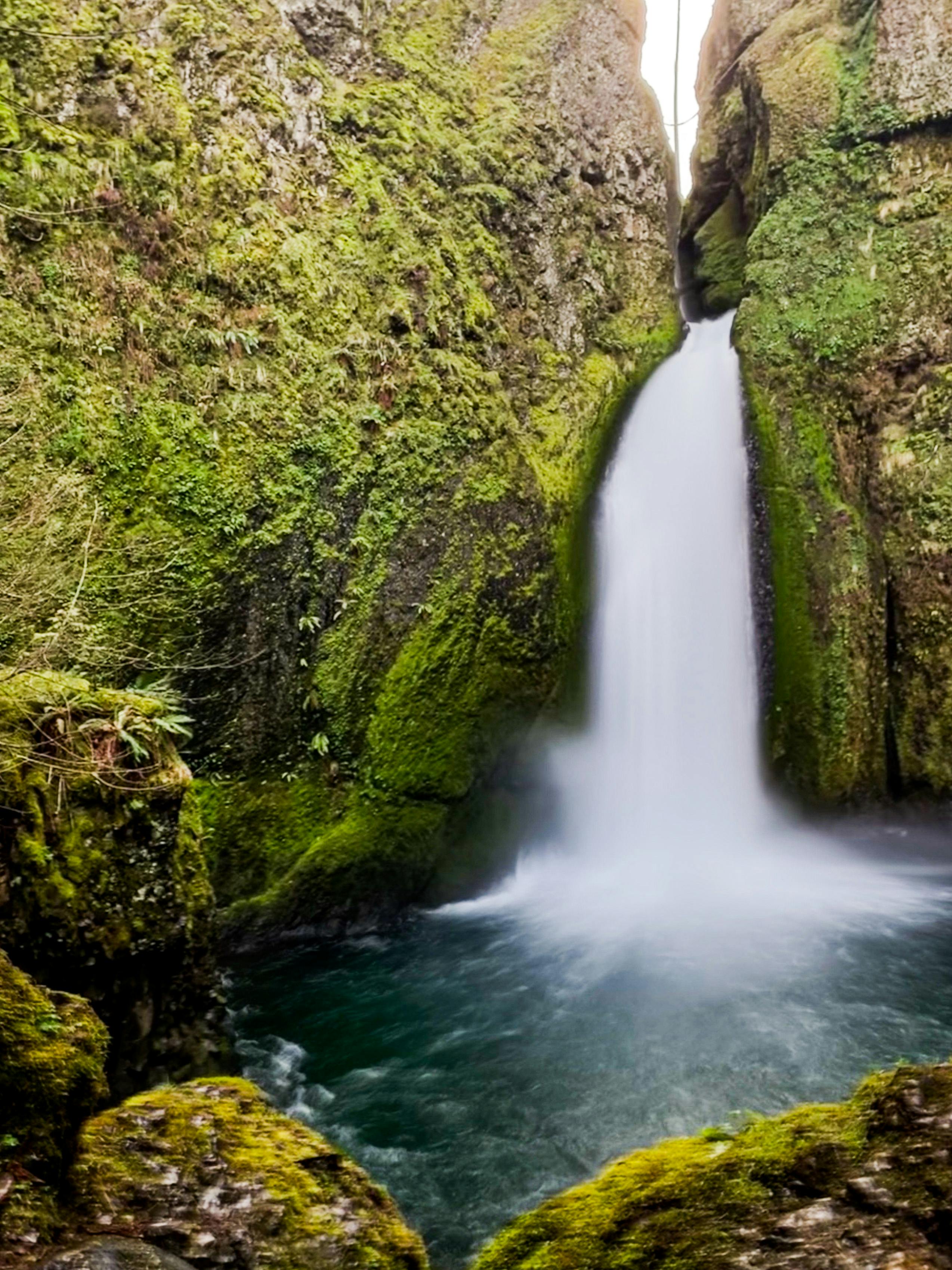 Rachel Strong - การถ่ายภาพ