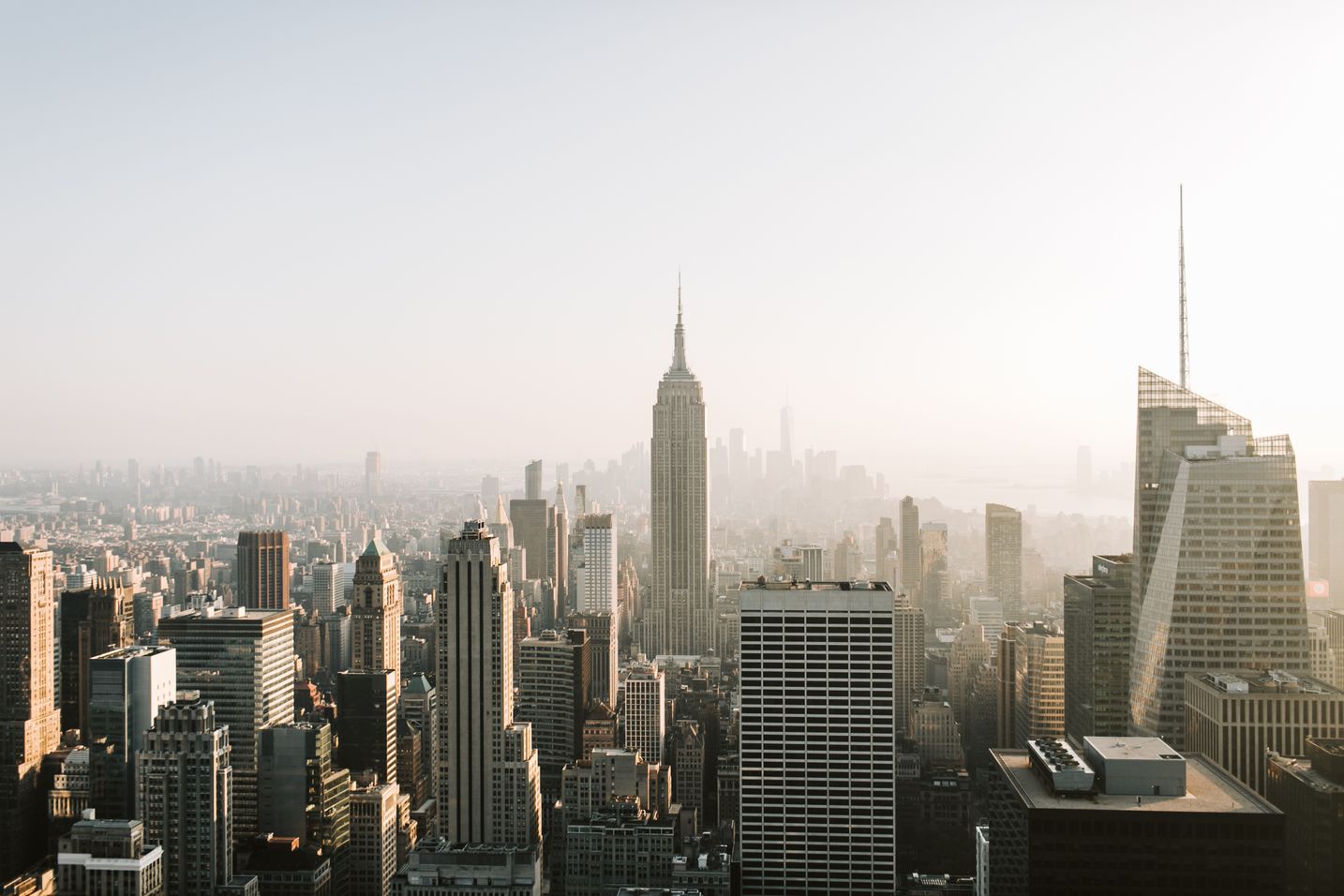 new york insurance broker license lookup guide