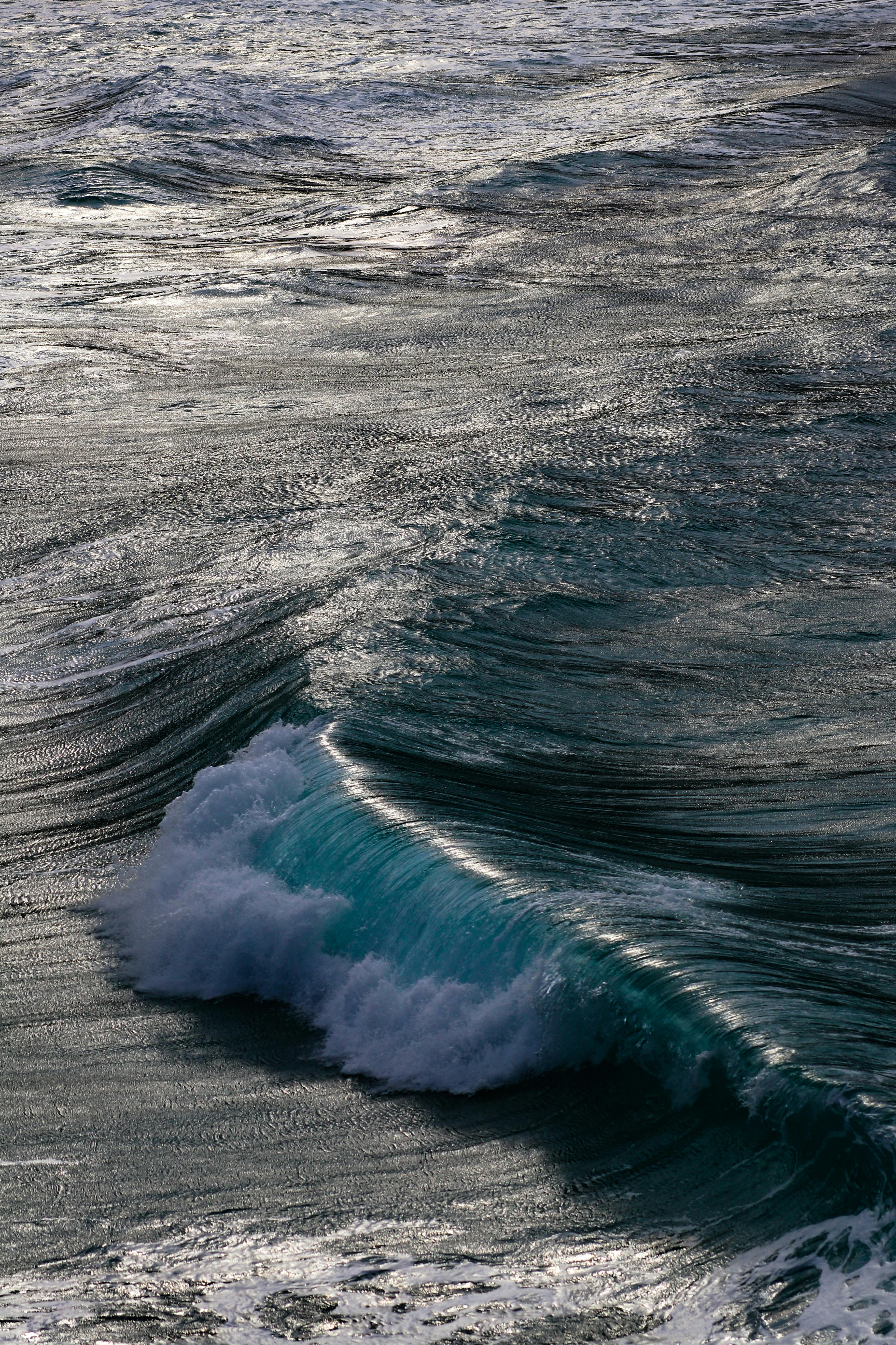 Long waves near coast of sea · Free Stock Photo