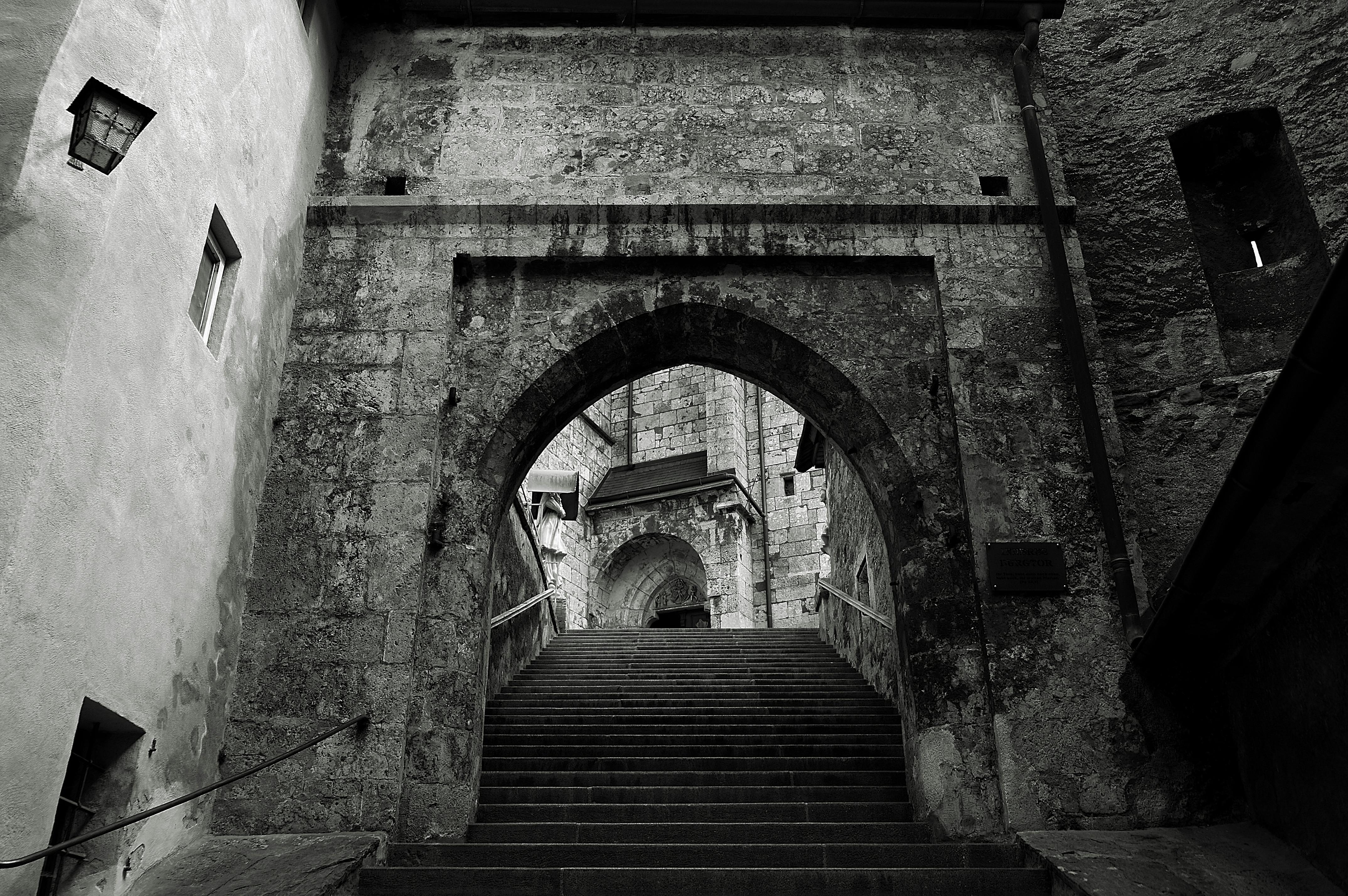 245,324+ Best Free Monochrome Stock Photos & Images · 100% Royalty-Free ...