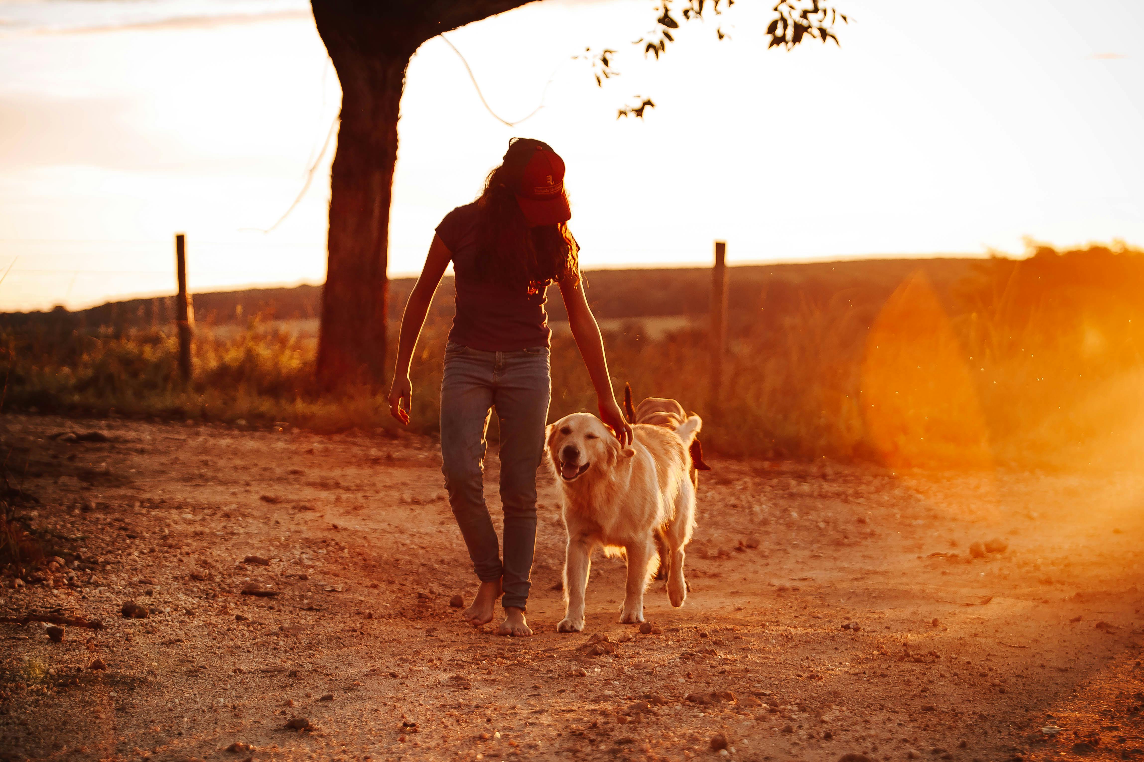 Faceless young woman with golden retriever dog against countryside at ...