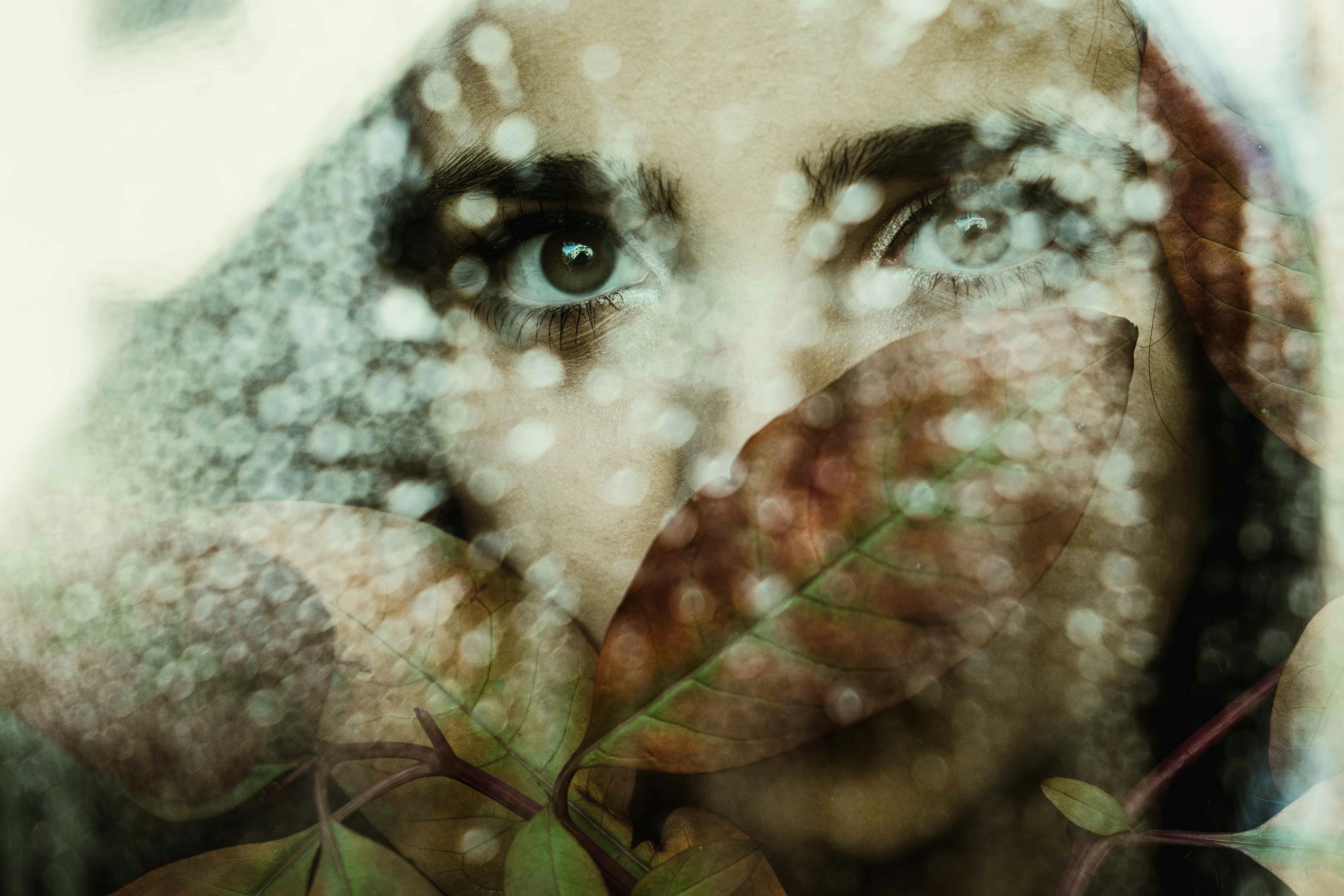 Woman Face behind Leaves behind Window · Free Stock Photo