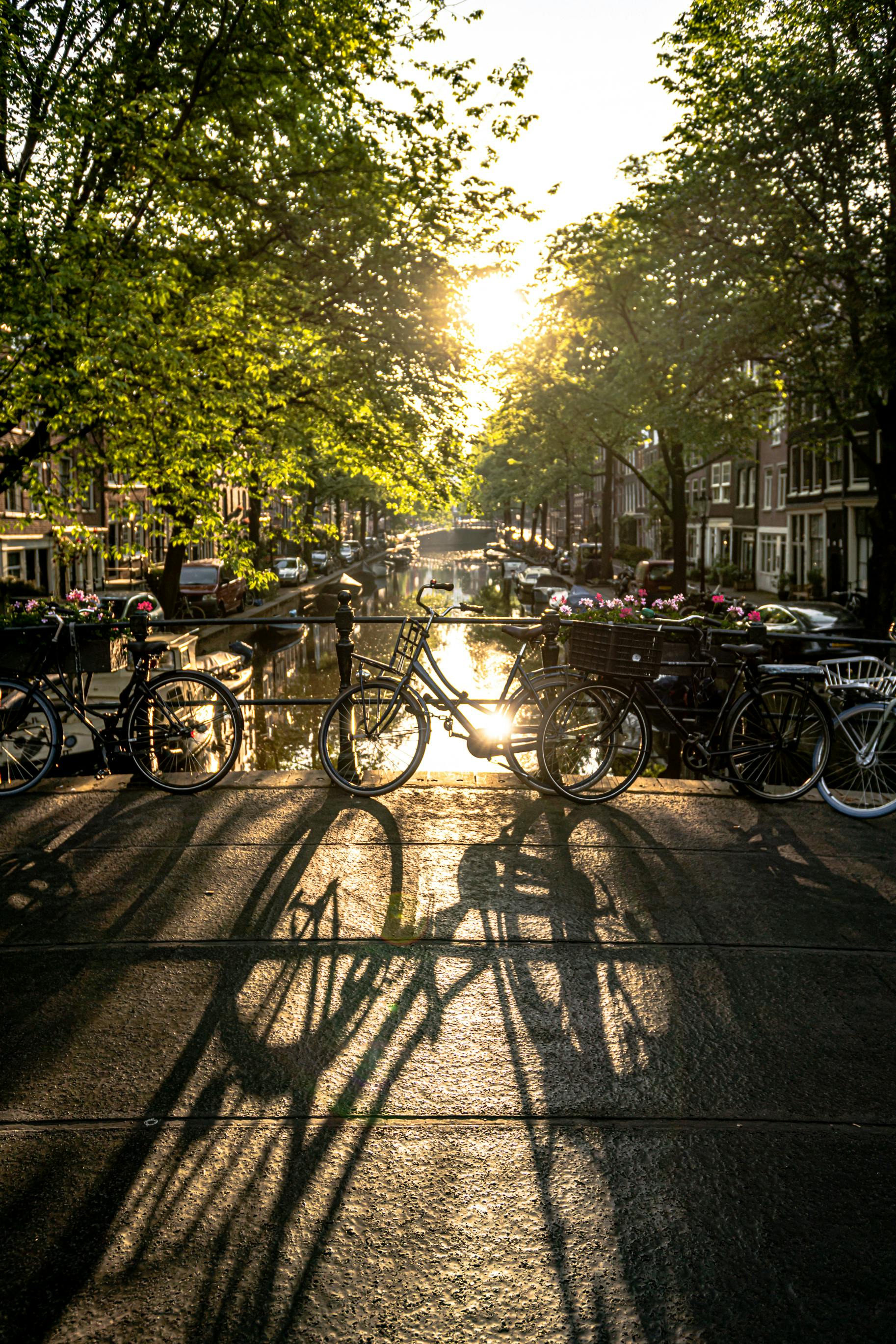 Bicycles Parked on the Sidewalk · Free Stock Photo