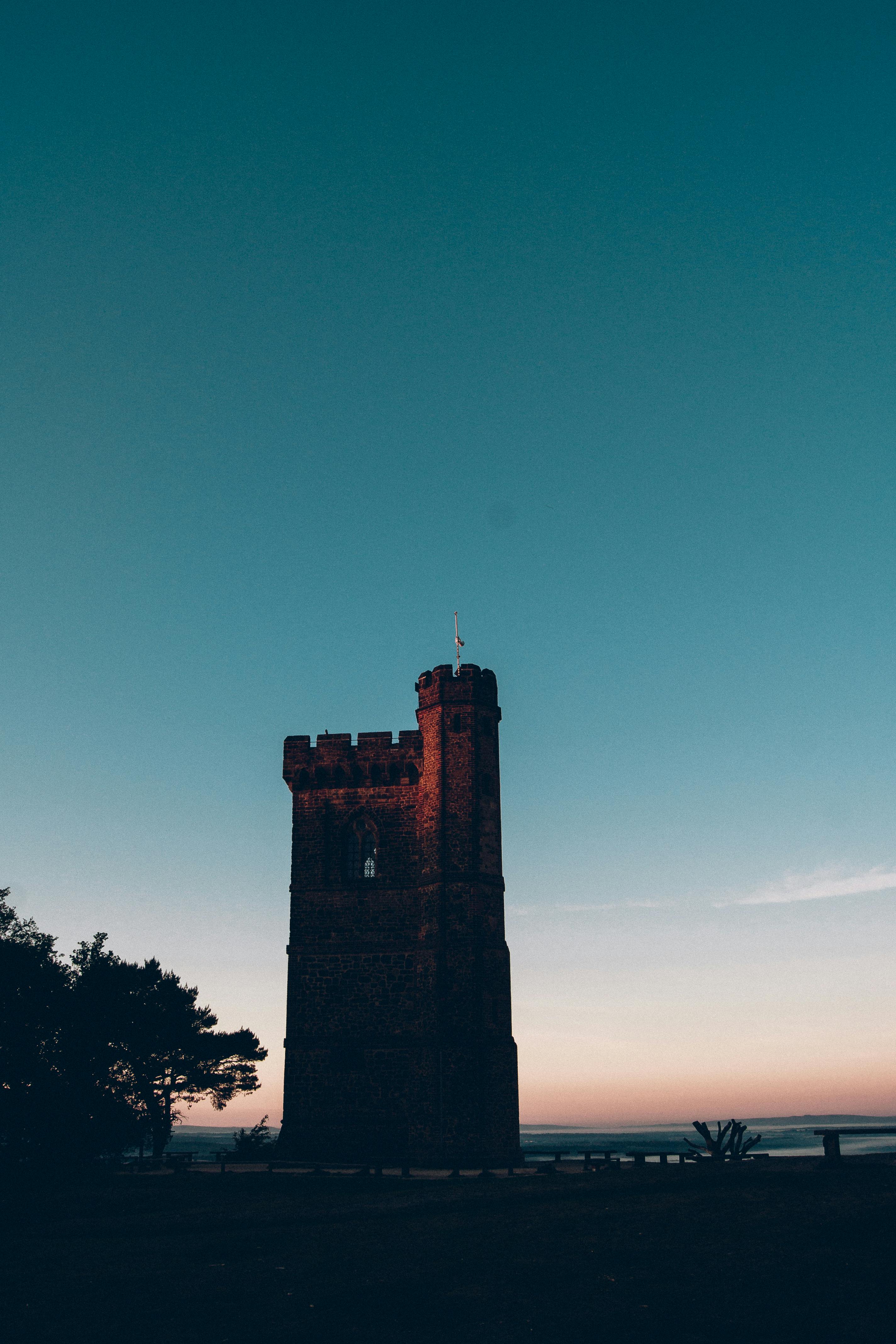 Dorks Photos, Download The BEST Free Dorks Stock Photos & HD Images