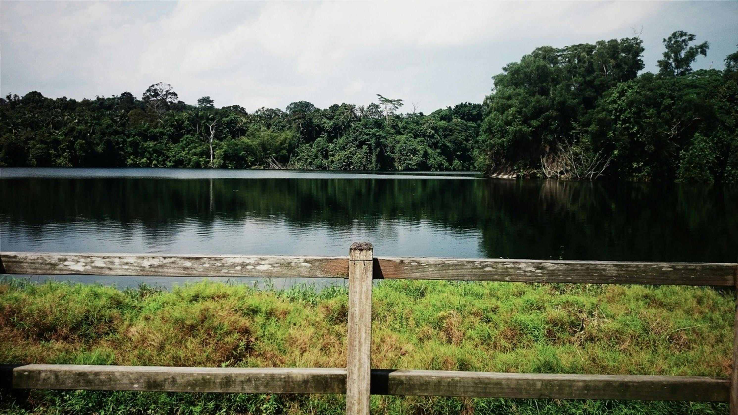 Wooden Fence on River · Free Stock Photo