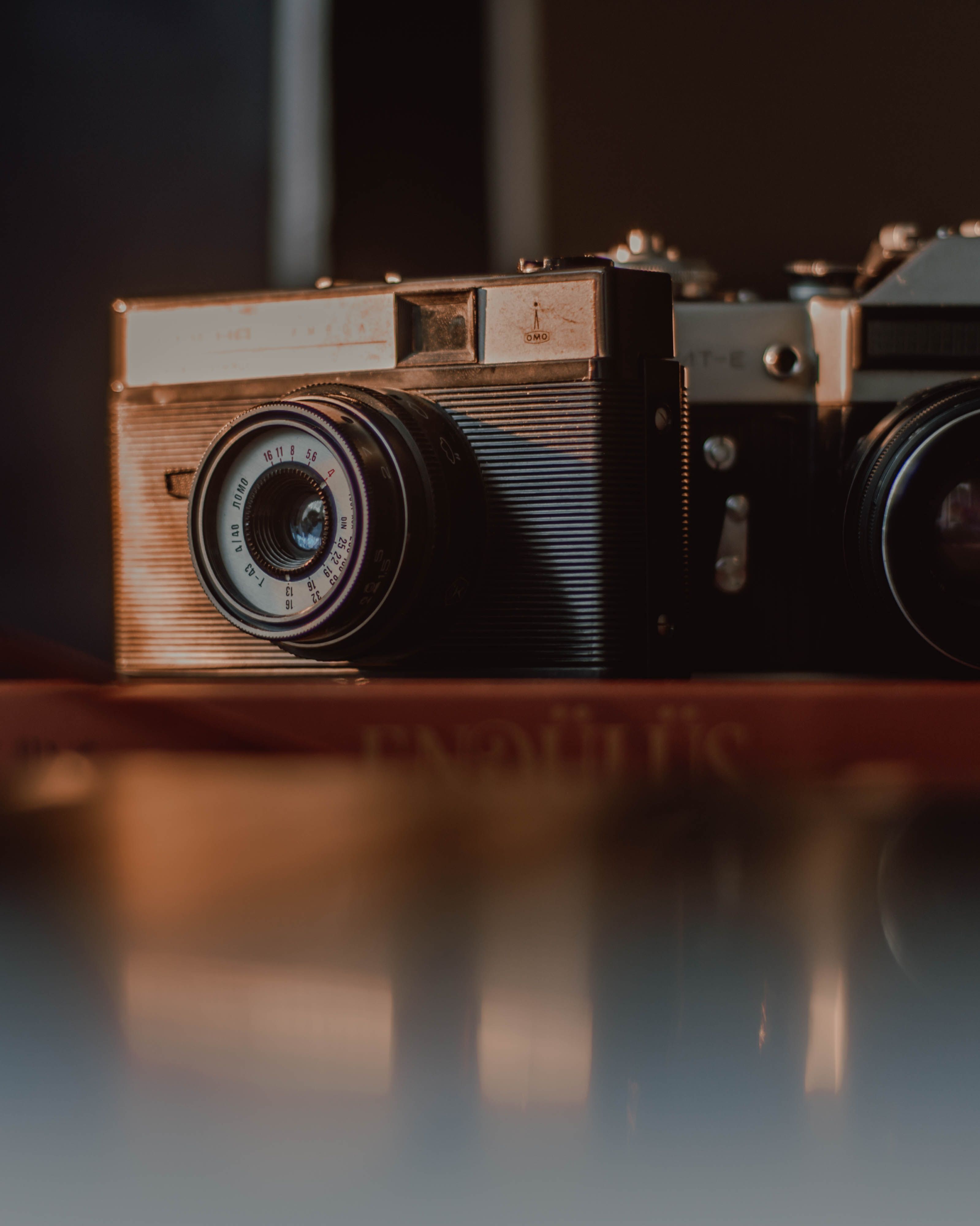 Woman showing retro photo camera and holding blooming flower · Free ...