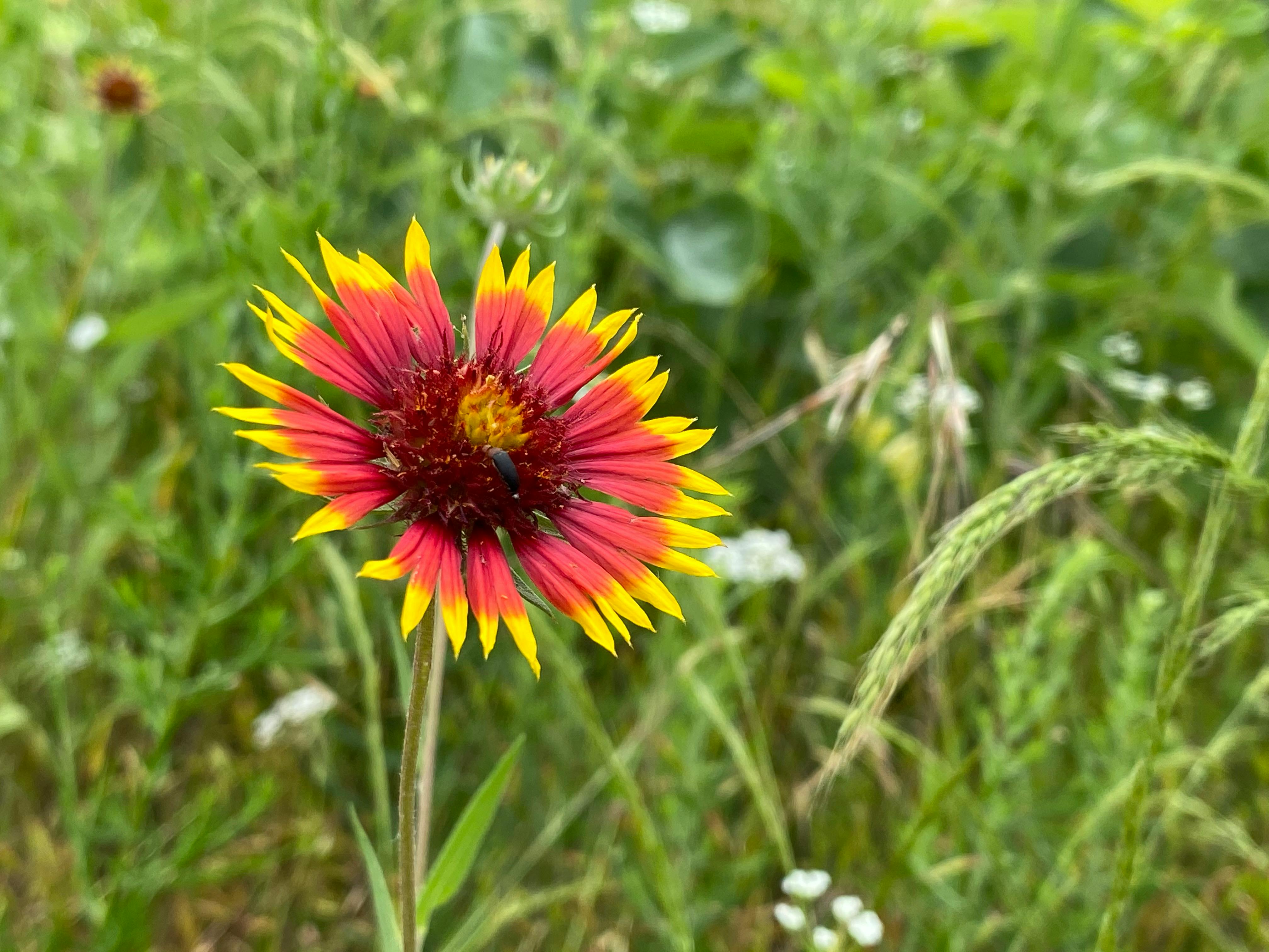 nathaniel.r.w - Photography