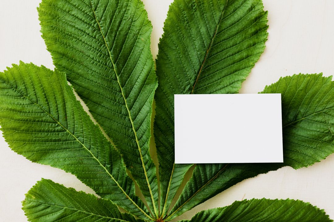 Stripe Inc Address and Global Office Locations Explained