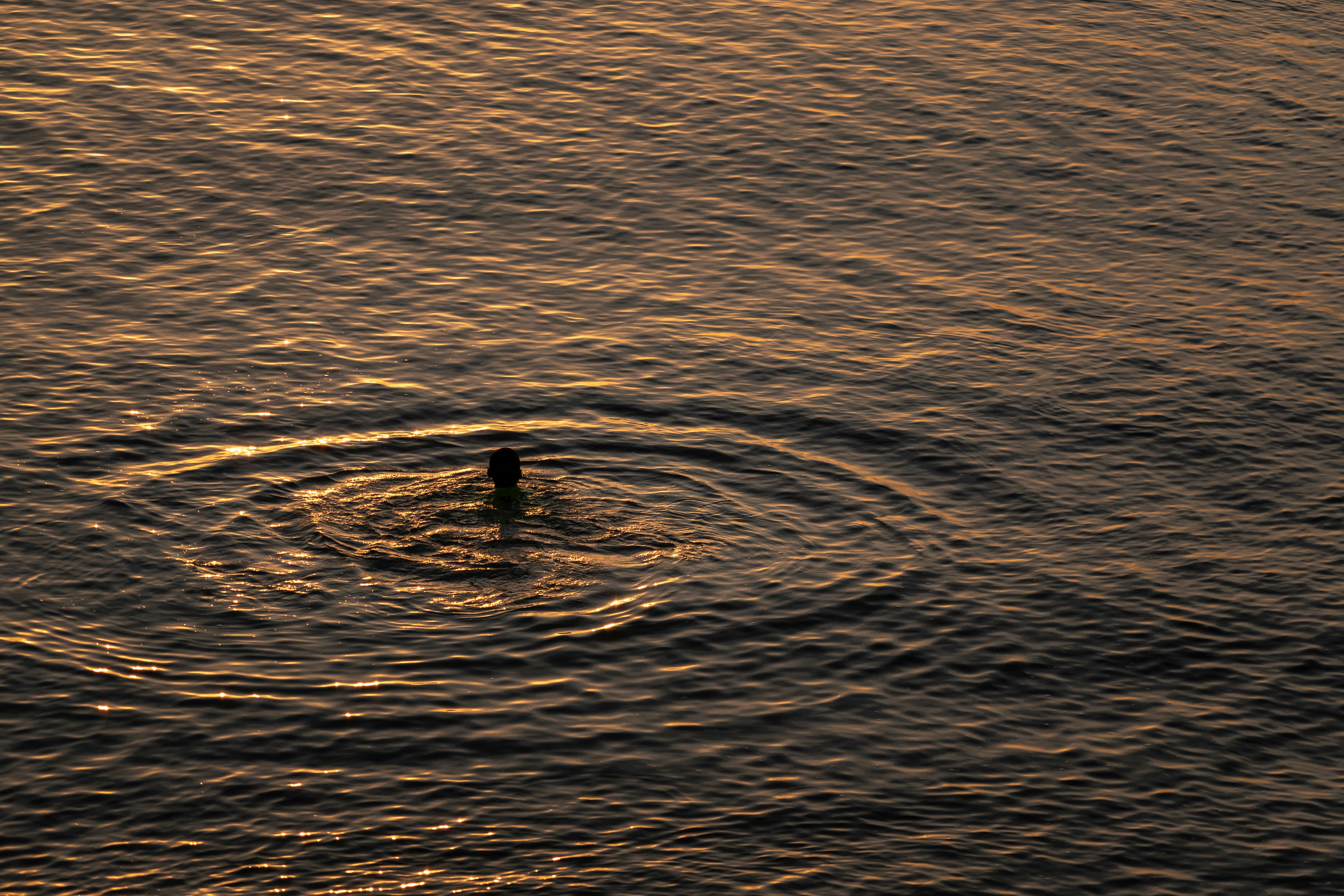 Water Wave on Body of Water · Free Stock Photo