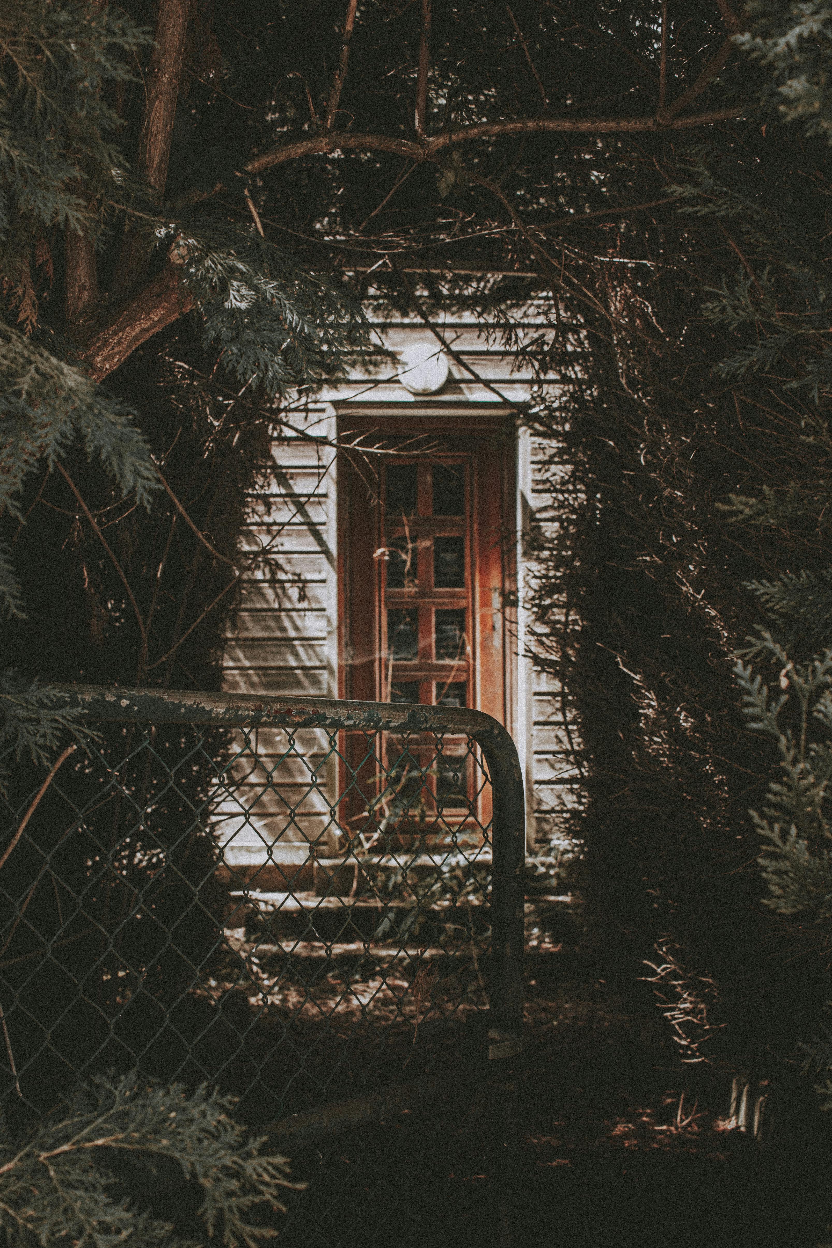 Fence and tree branches near house entrance · Free Stock Photo