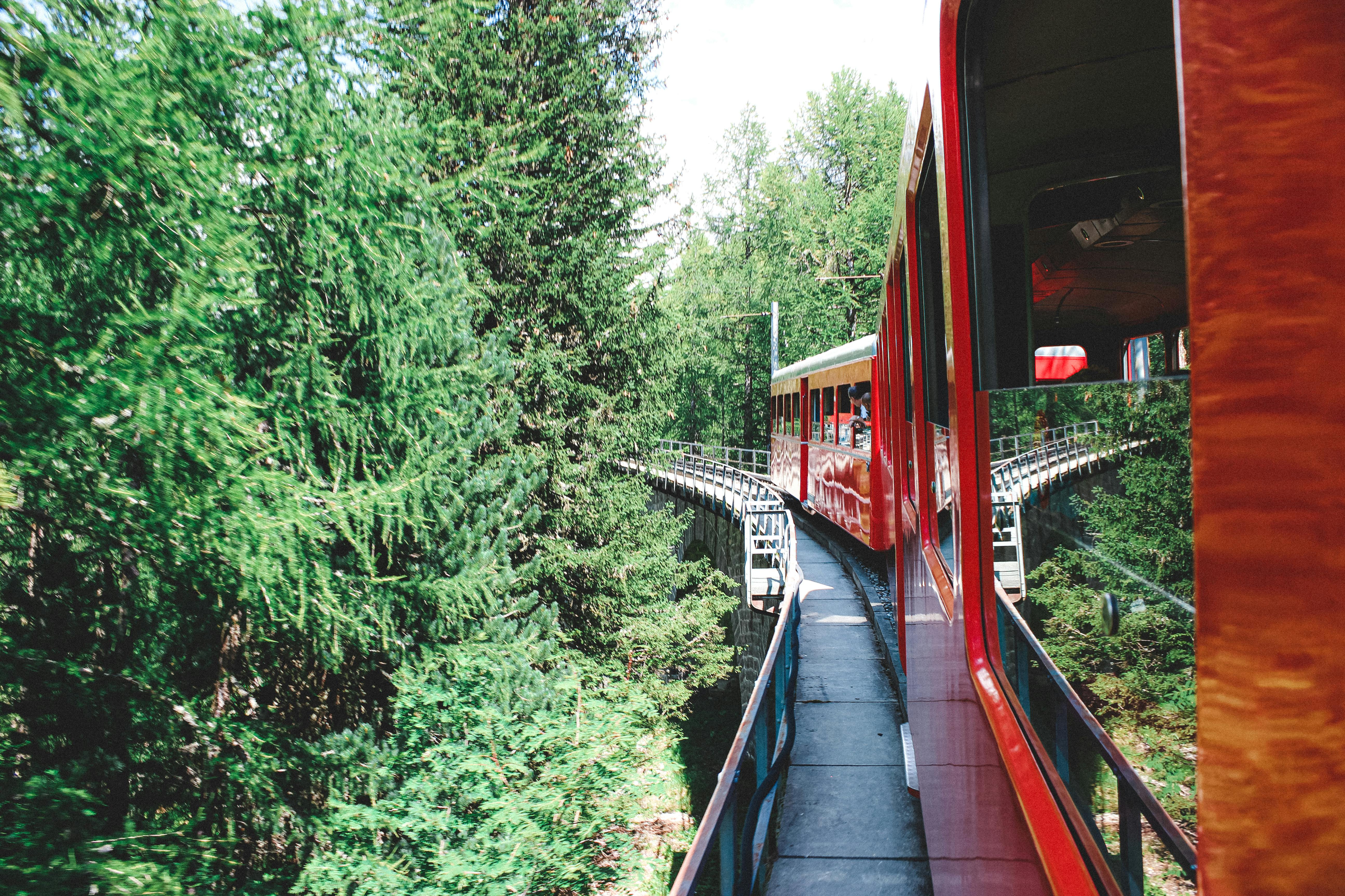 Train riding on railroad in green forest · Free Stock Photo