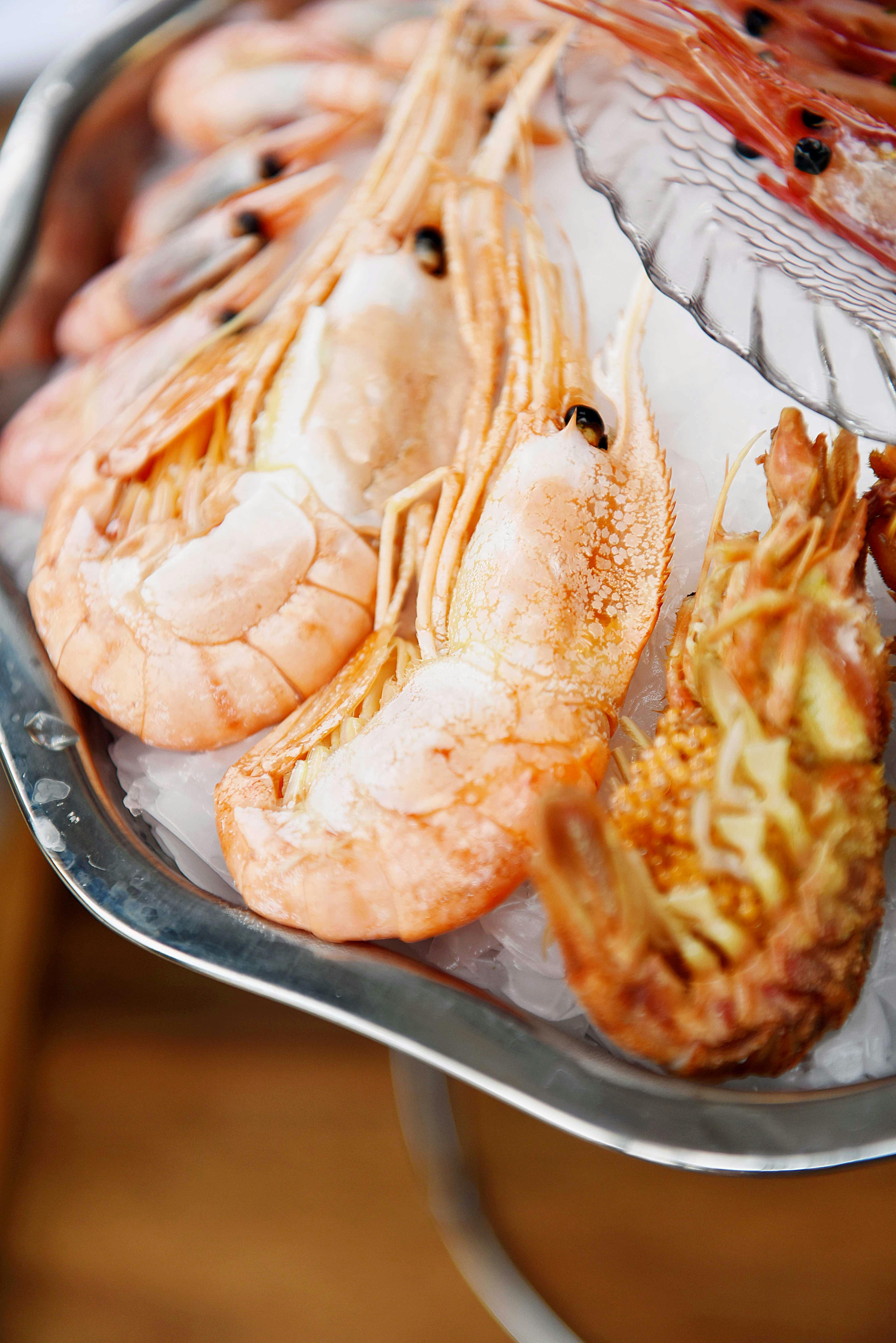Cooked Shrimp and seashell dish · Free Stock Photo