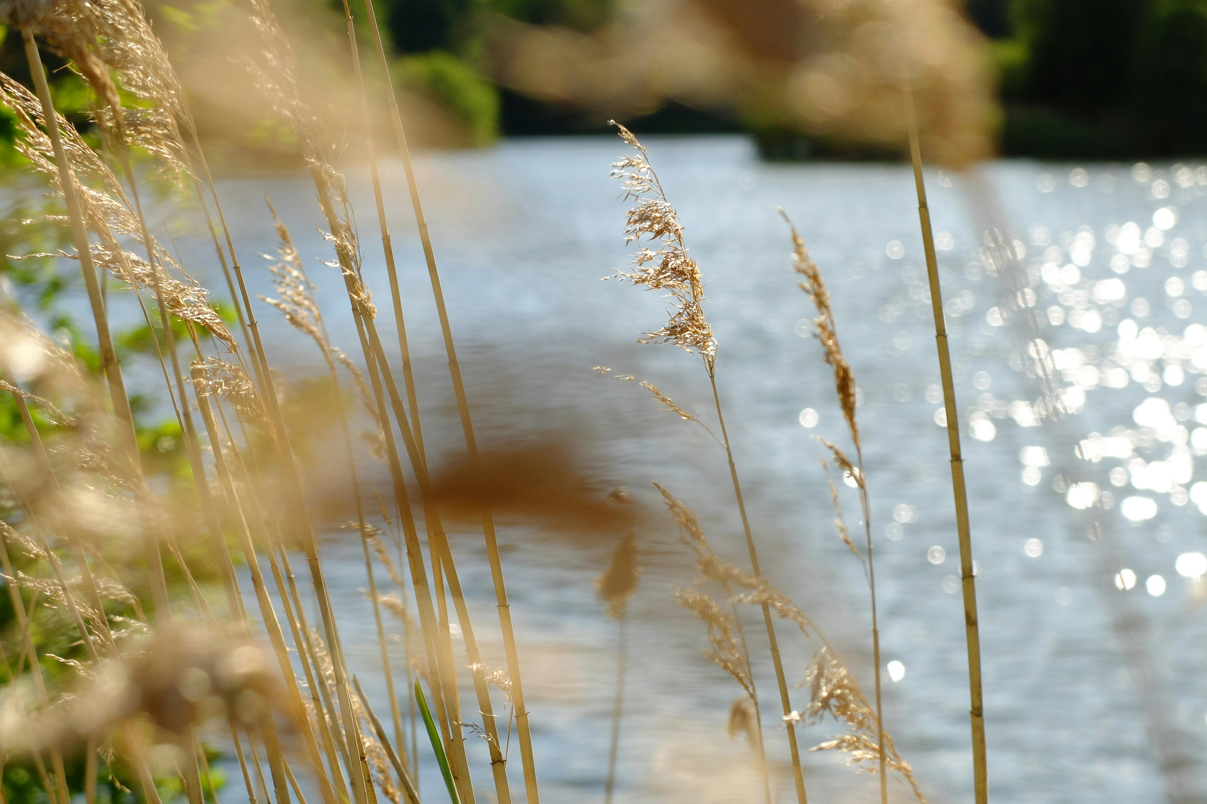 David Brezina - Photography