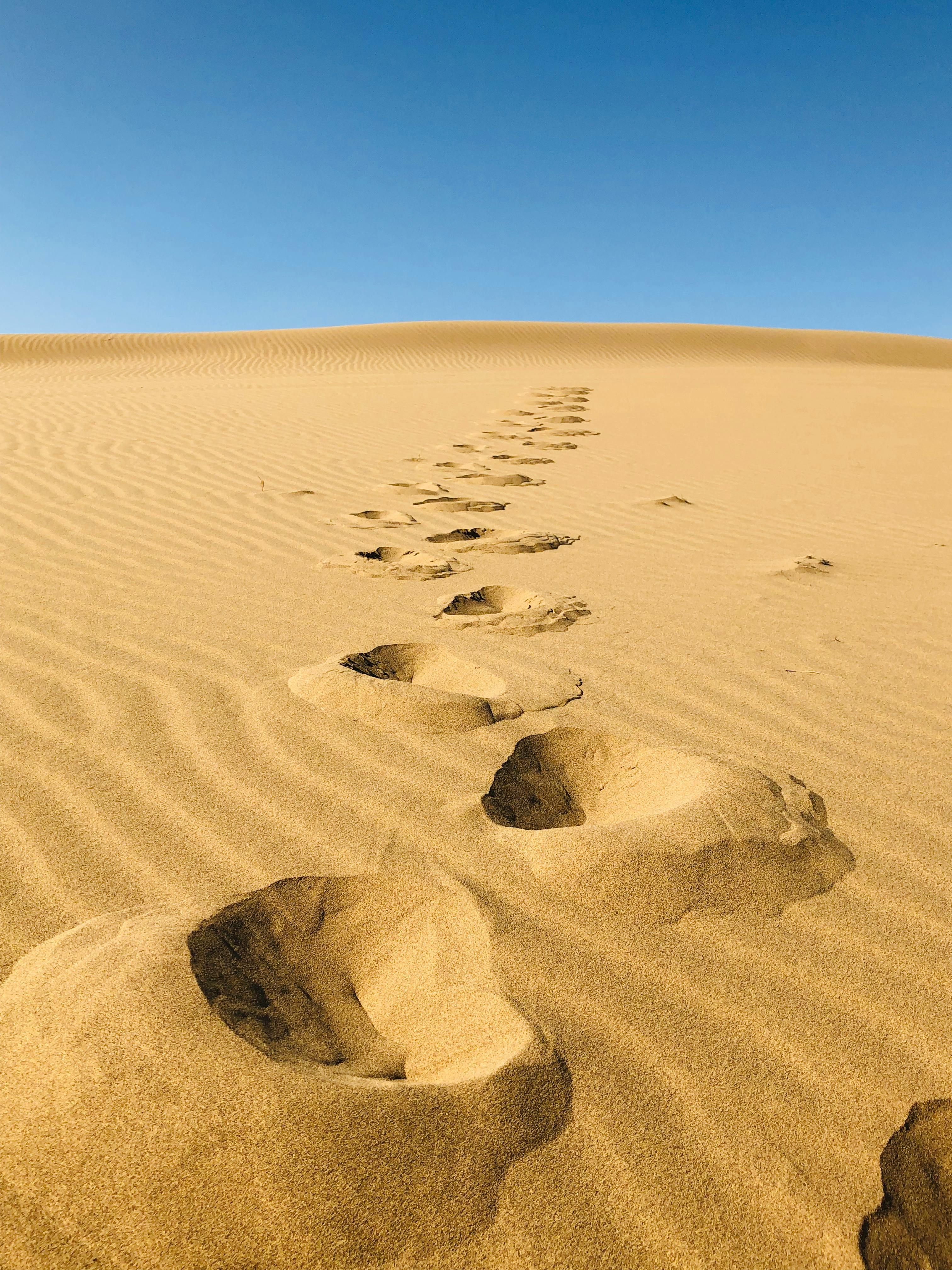 Footprints in the Sand · Free Stock Photo