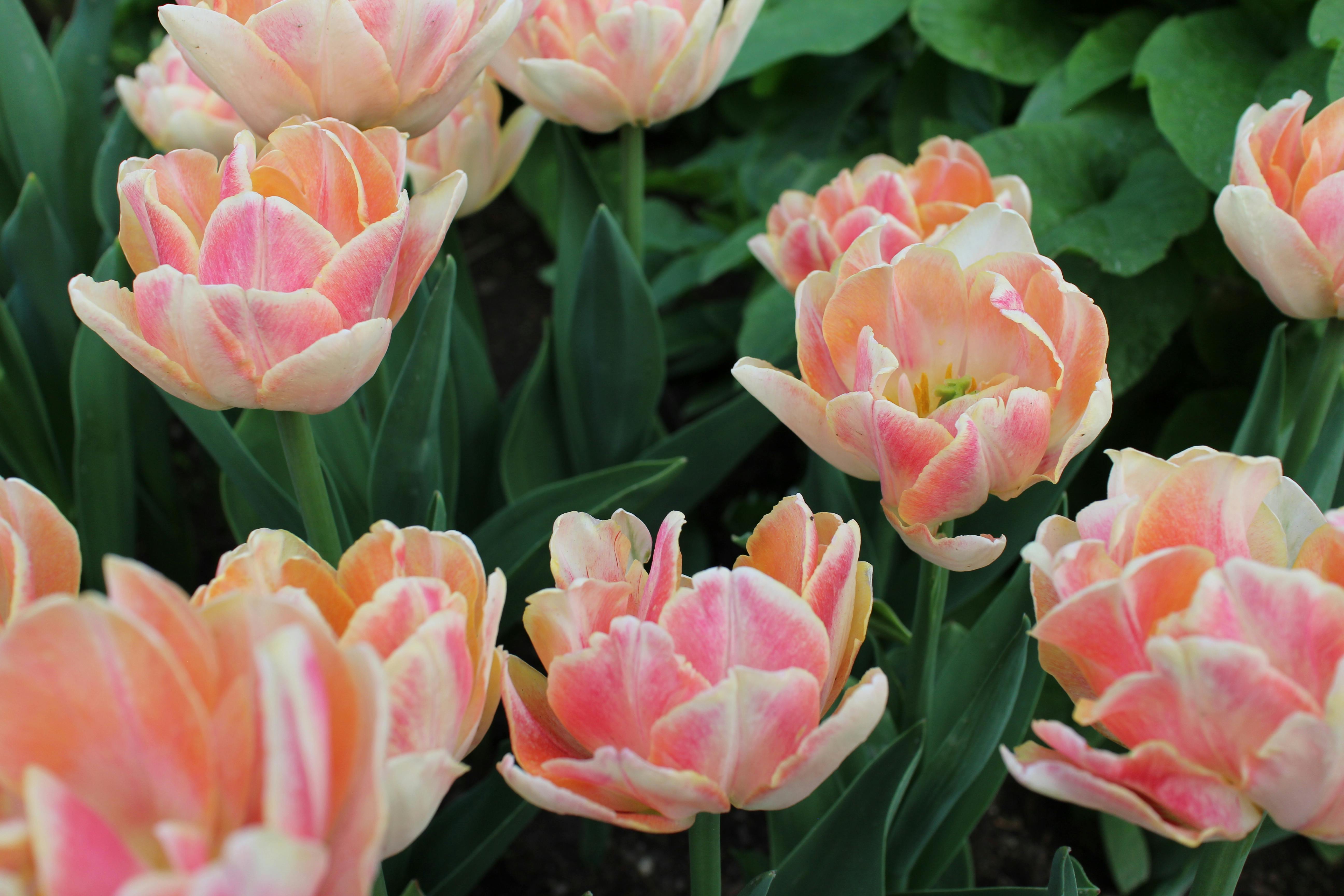 Zoe Stevens - Photography