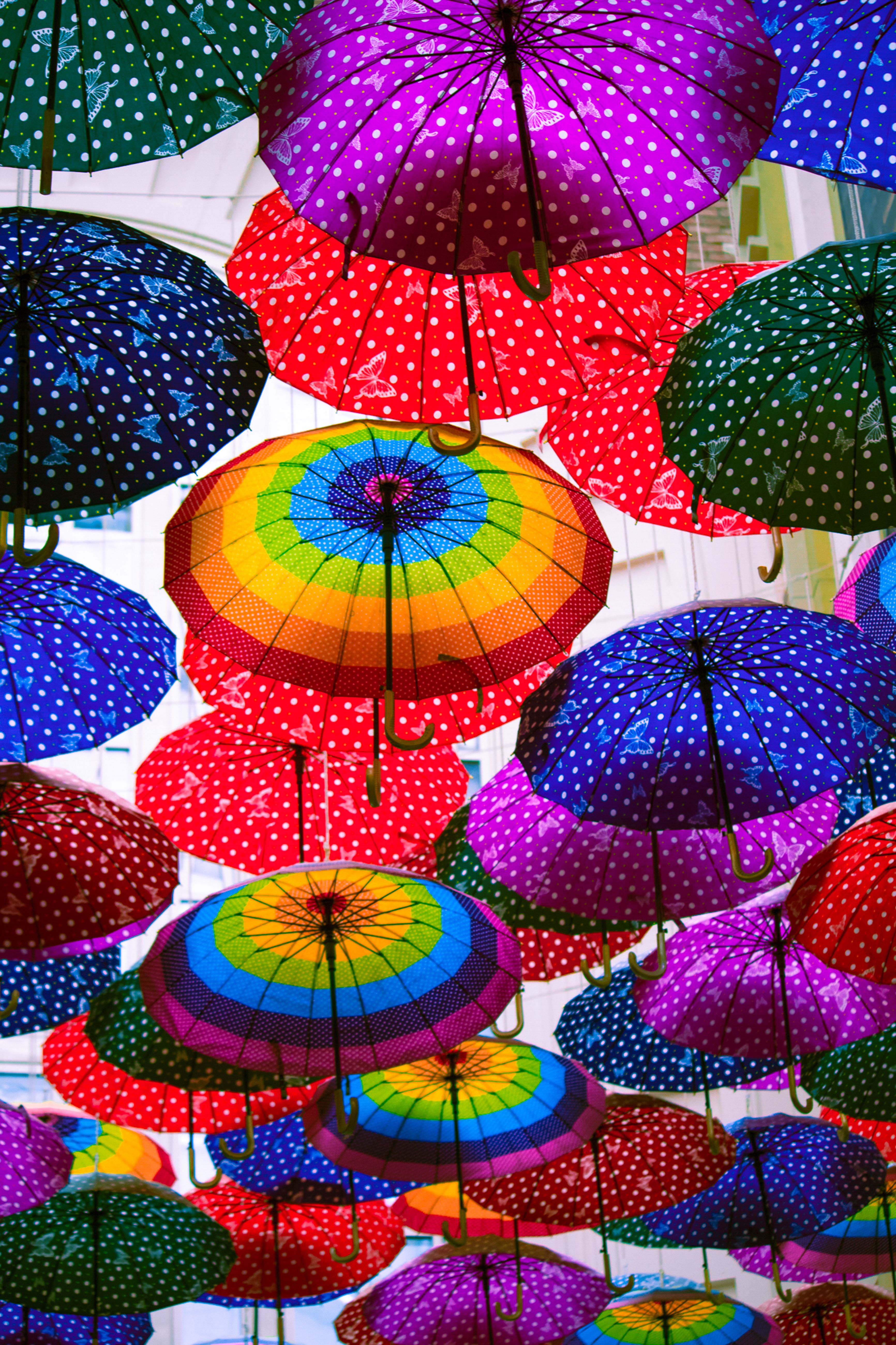Woman Touching a Colorful Fringe · Free Stock Photo