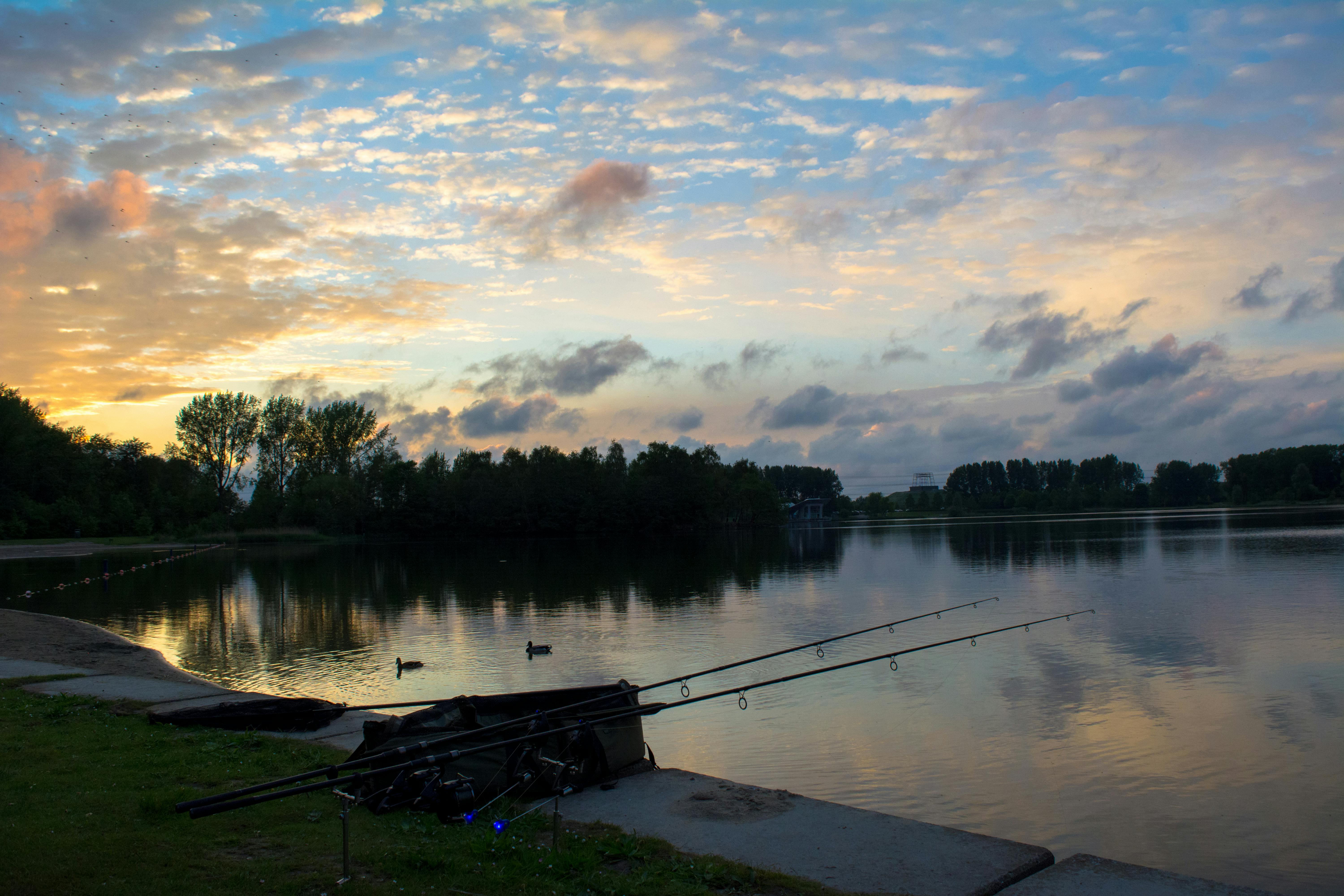 Free stock photo of carp fishing, carpfishing, fishing