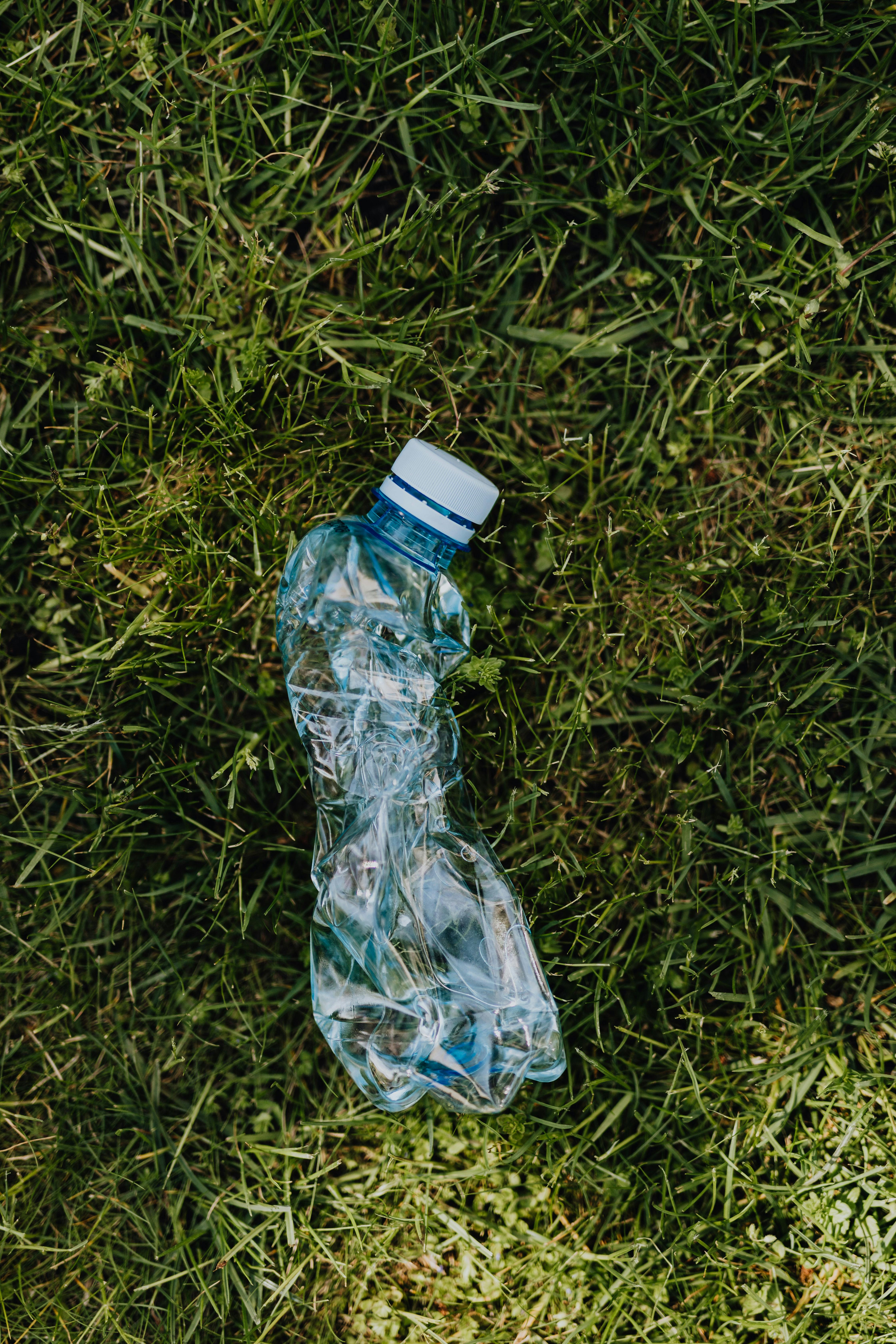 Litter Photos, Download The BEST Free Litter Stock Photos & HD Images