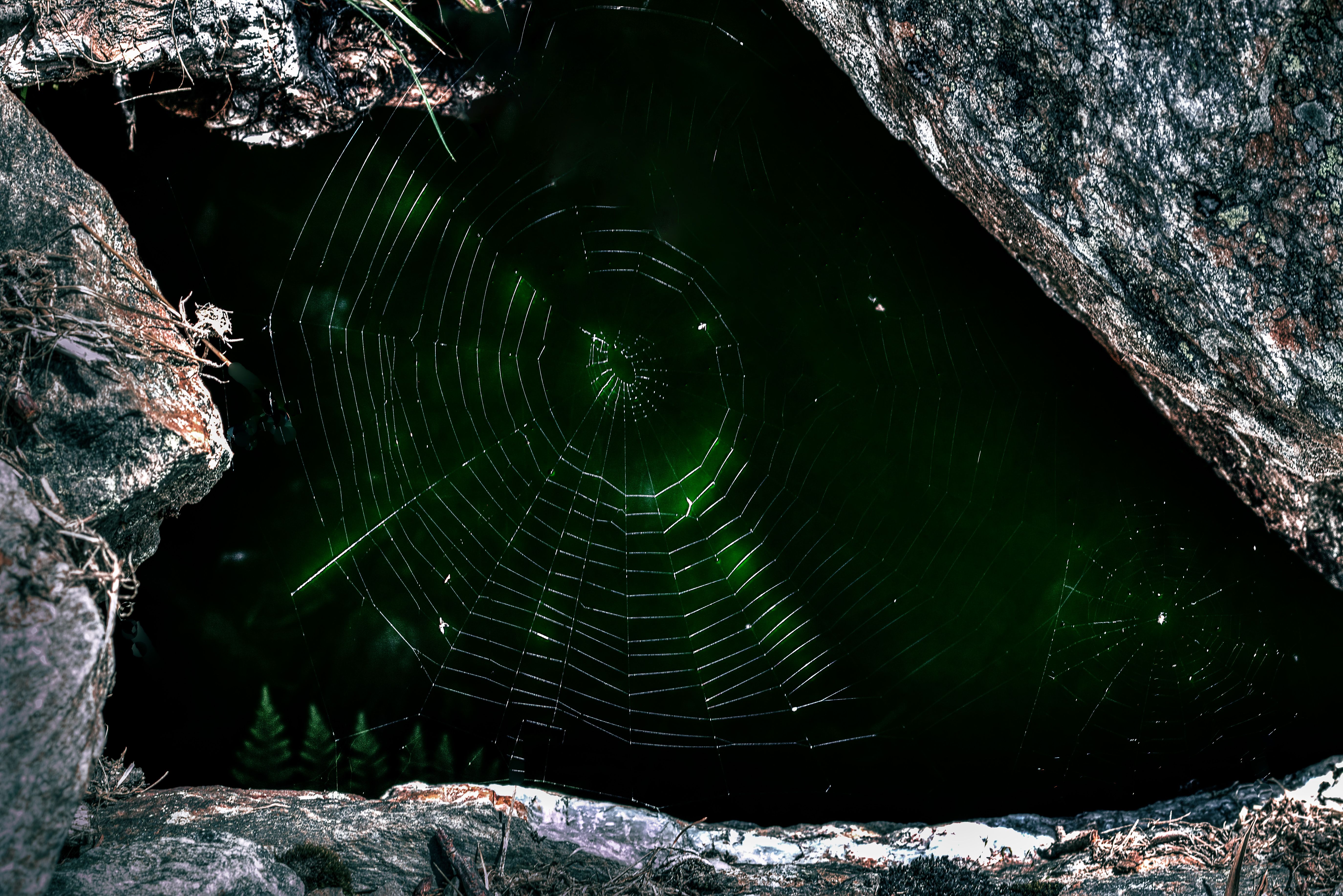 Desktop Backgrounds Dark Web Photos, Download The BEST Free Desktop ...