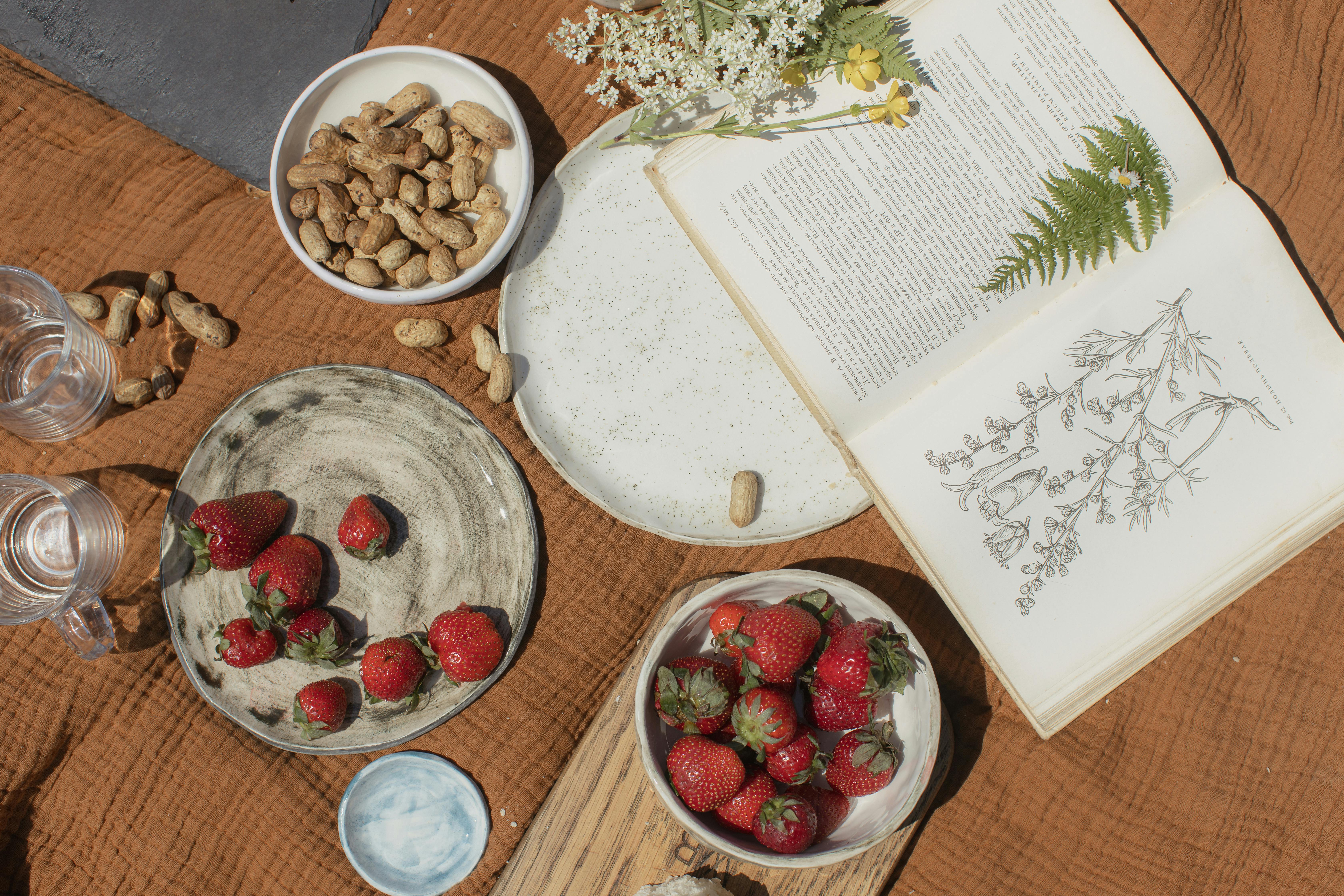 Open Plates Photos, Download The BEST Free Open Plates Stock Photos ...