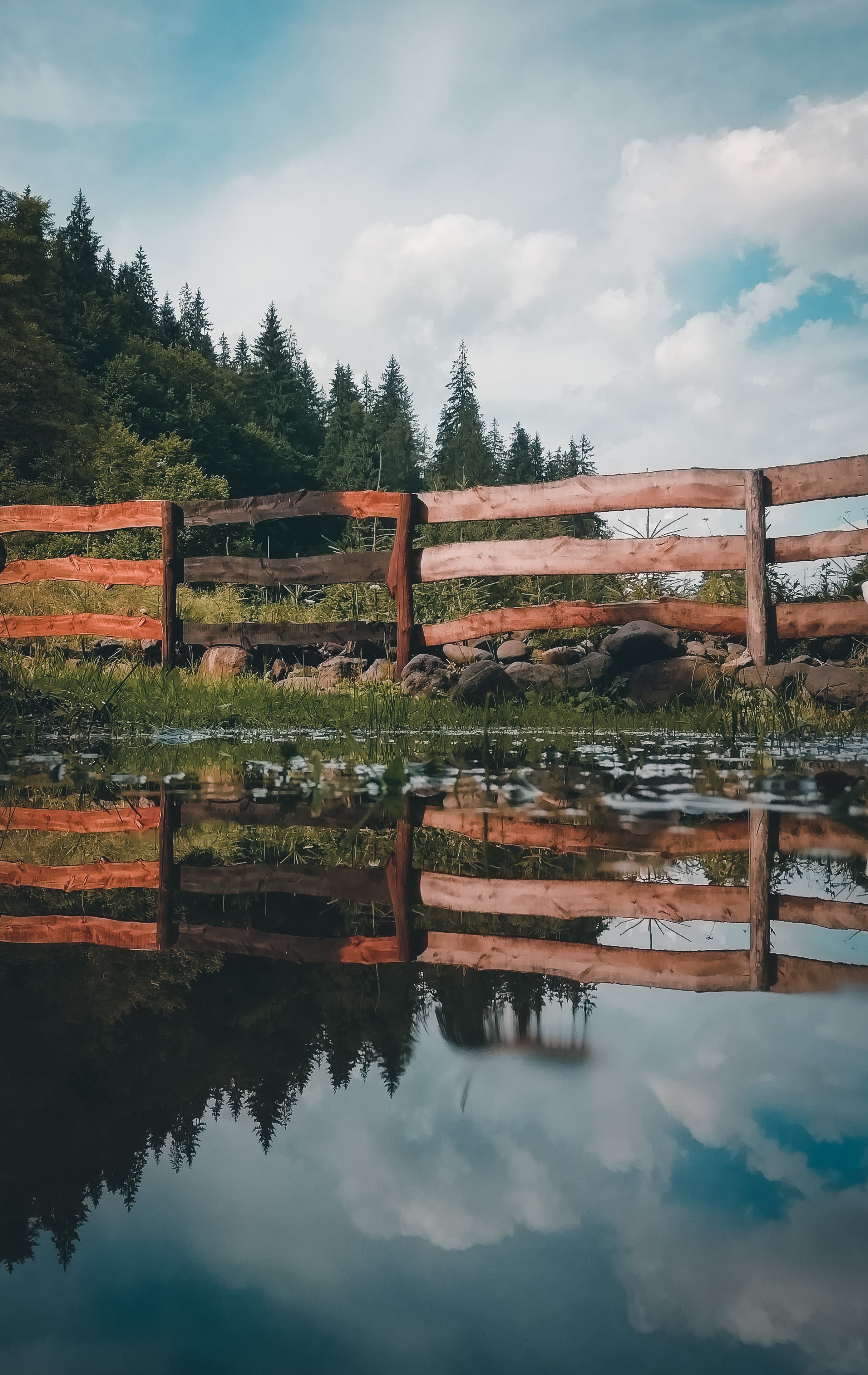 Brown Wooden Fence Near Green Trees and River · Free Stock Photo