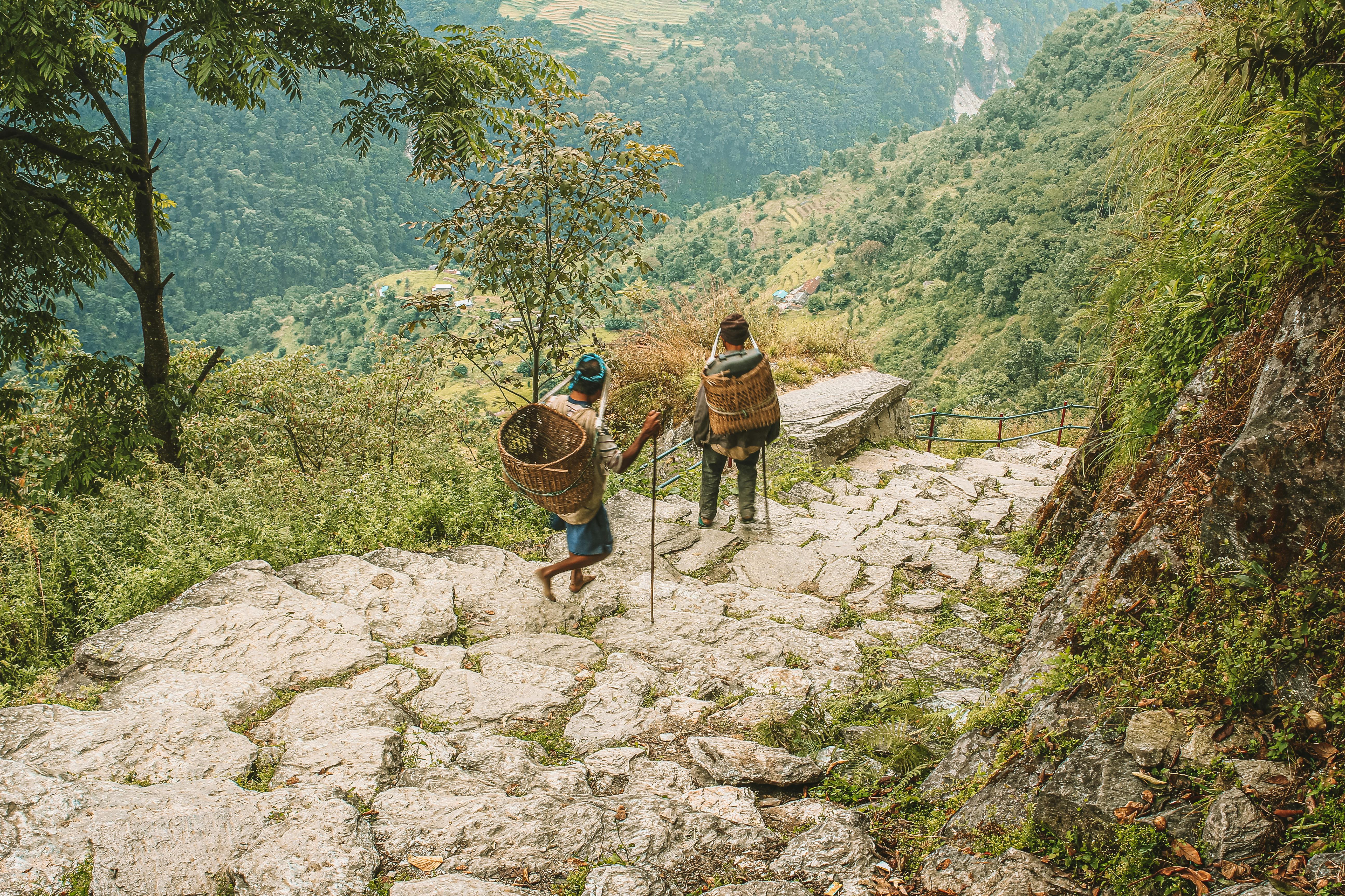 Man Walking on Trail · Free Stock Photo