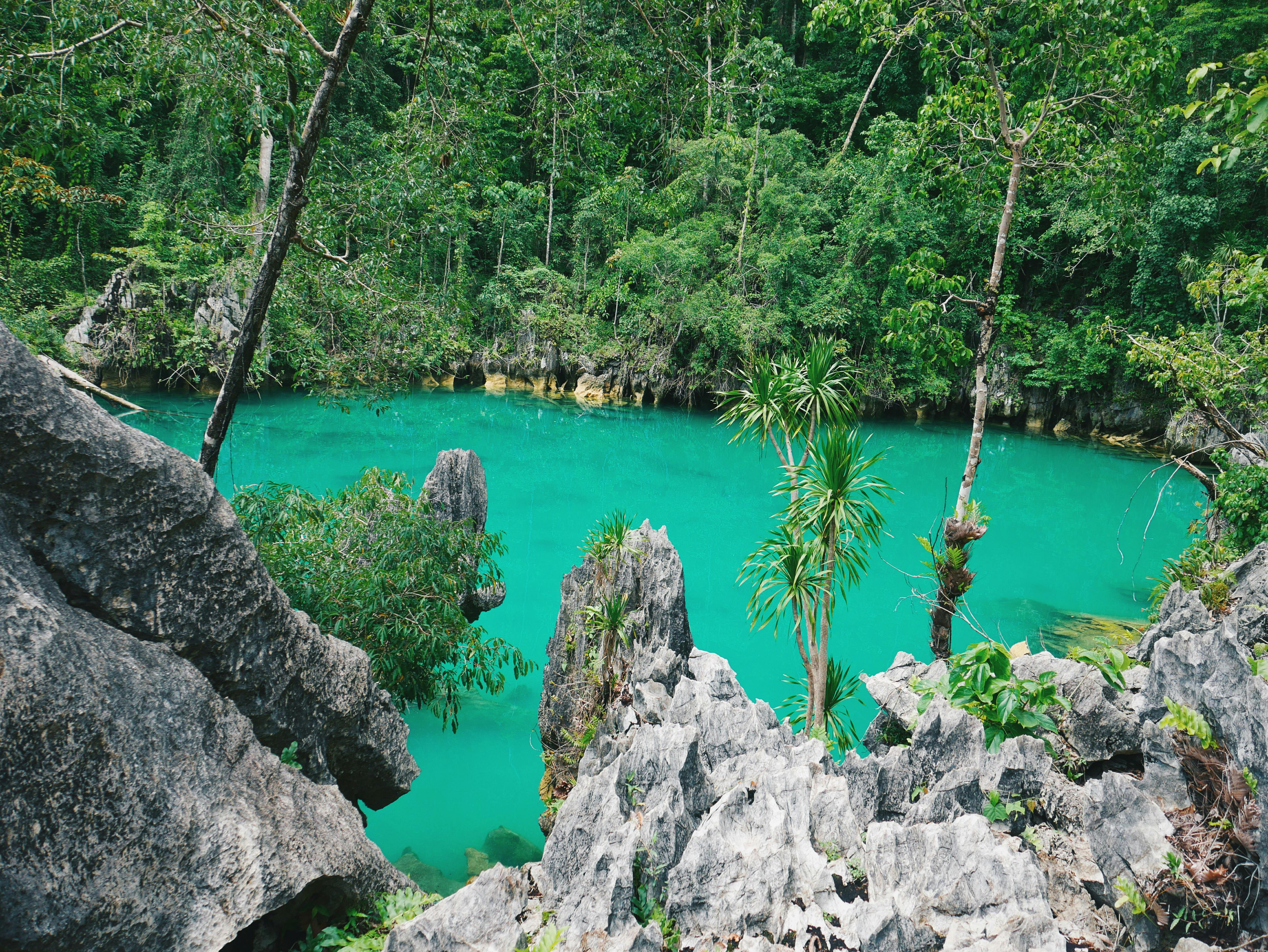 A Lake With Rock and Trees · Free Stock Photo