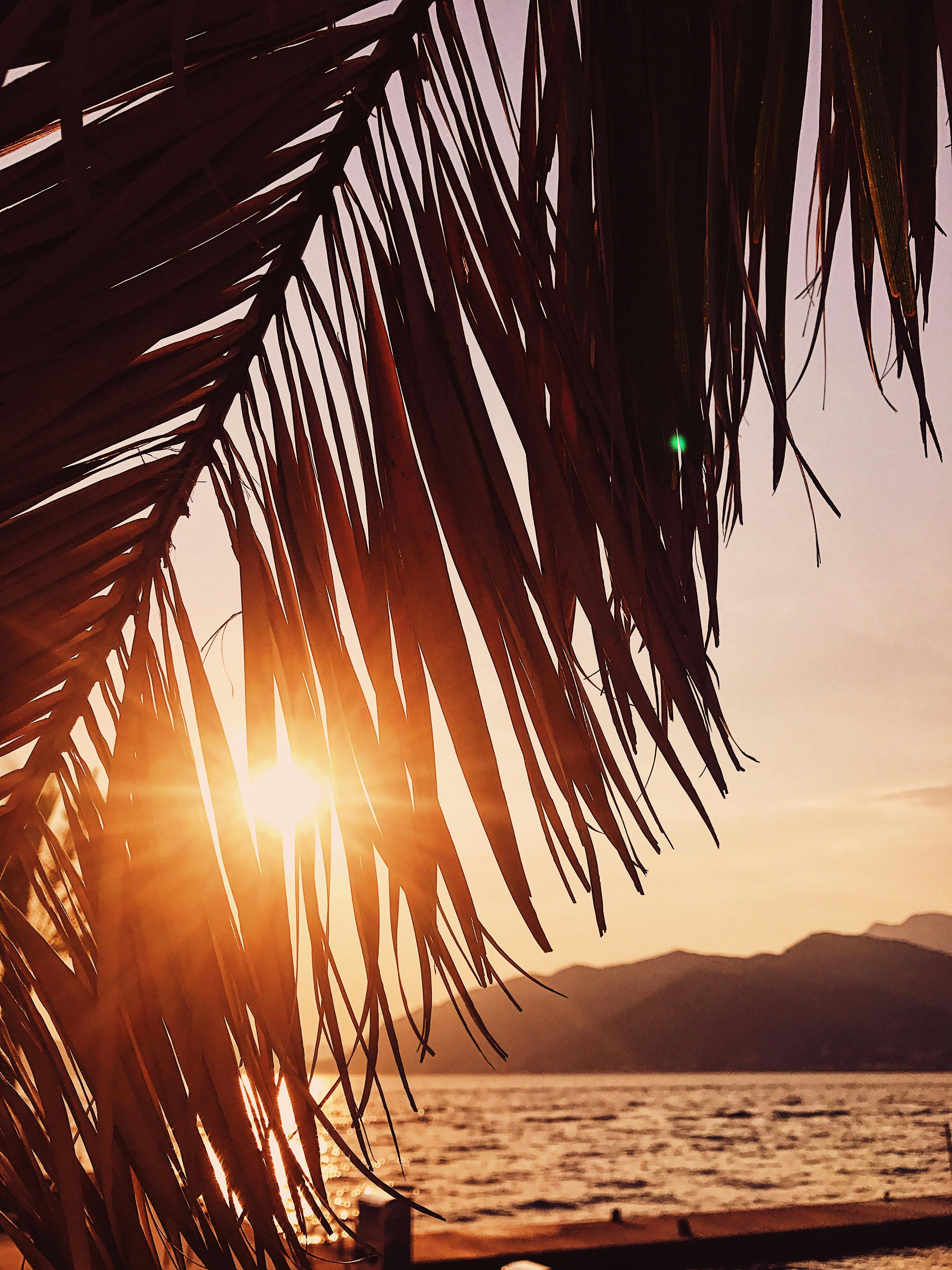 Summer Solstice Beach Sunray Photos, Download The BEST Free Summer ...