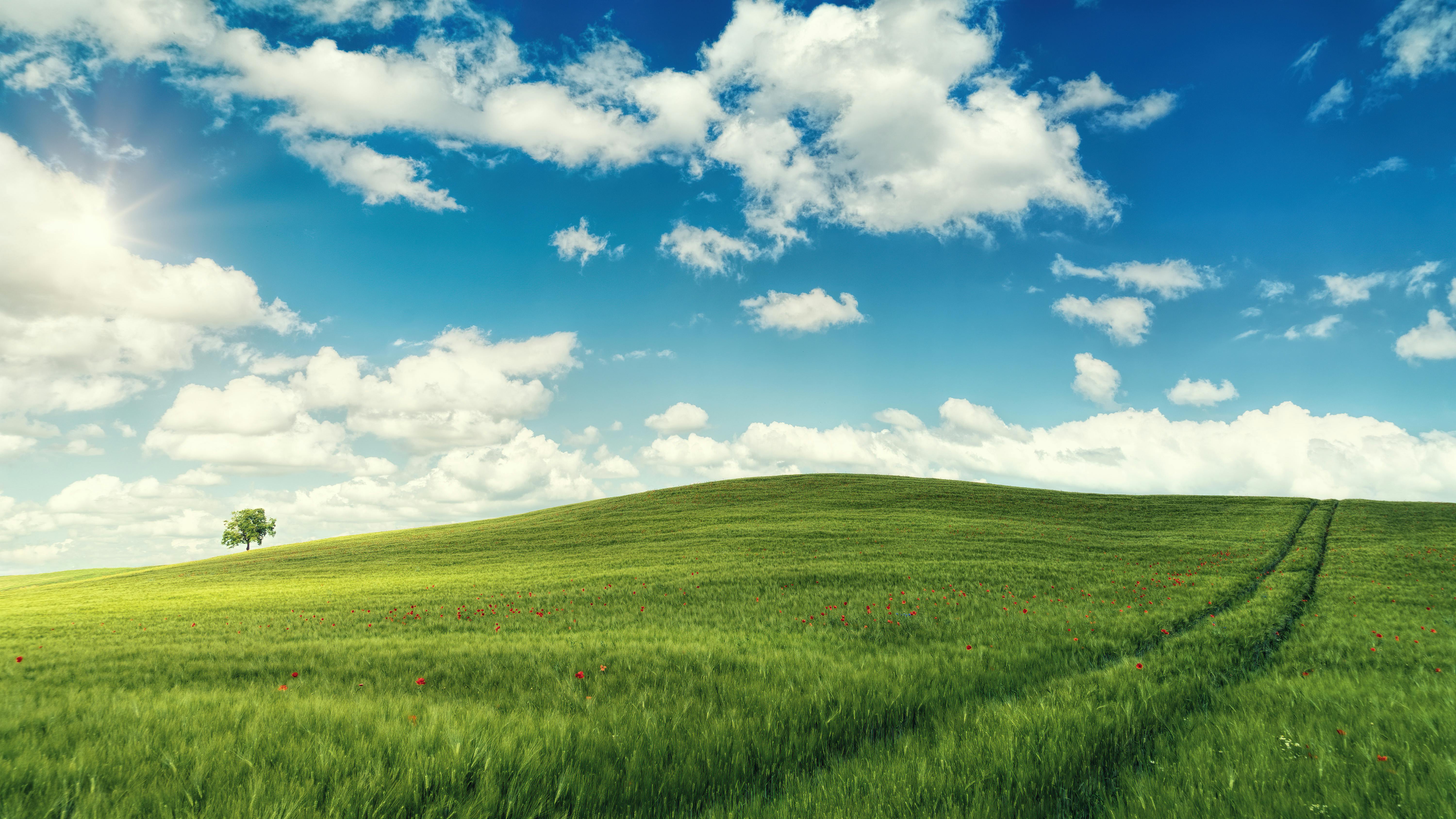 Empty green meadow in countryside on sunny day · Free Stock Photo